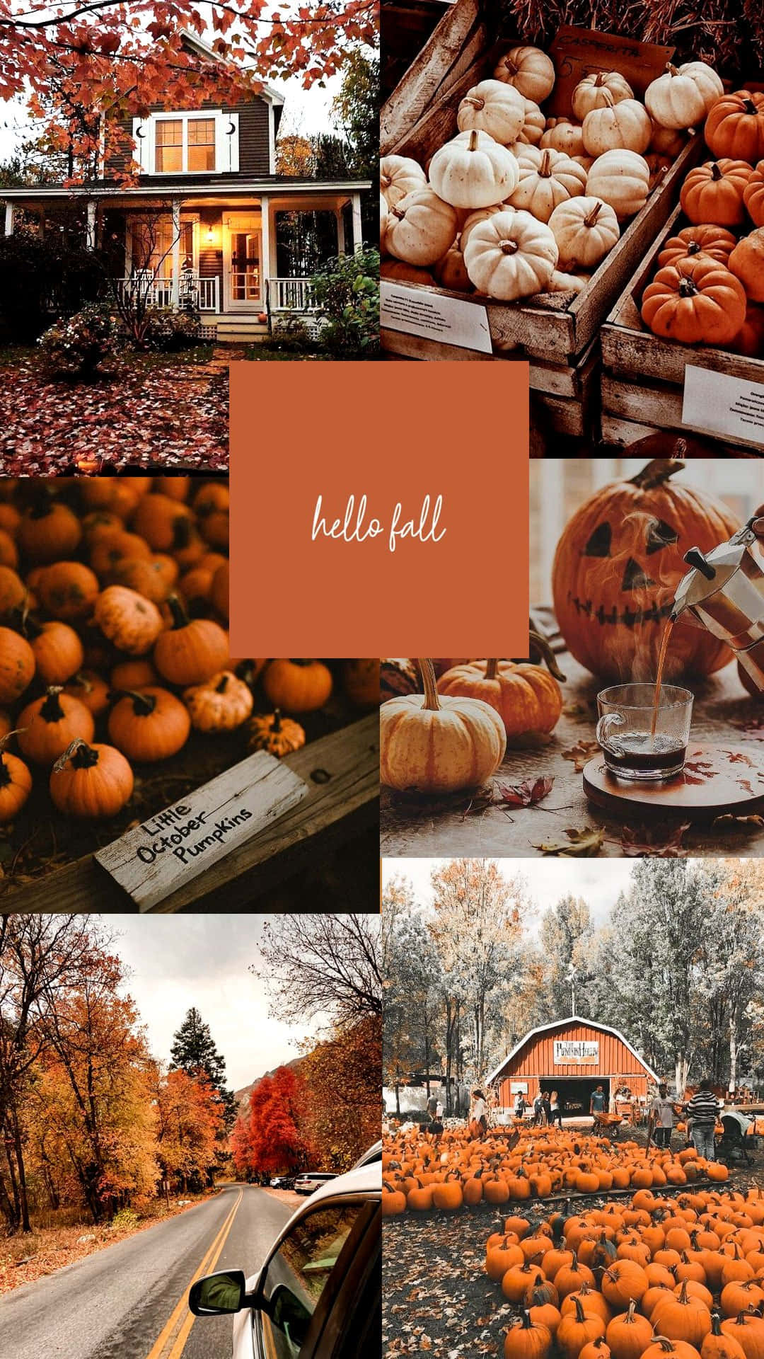 Aesthetic Fall Collage Wallpapers - Top Free Aesthetic Fall Collage ...