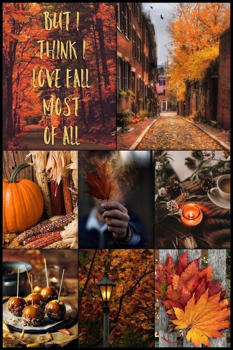 Aesthetic Fall Collage Wallpapers - Top Free Aesthetic Fall Collage ...