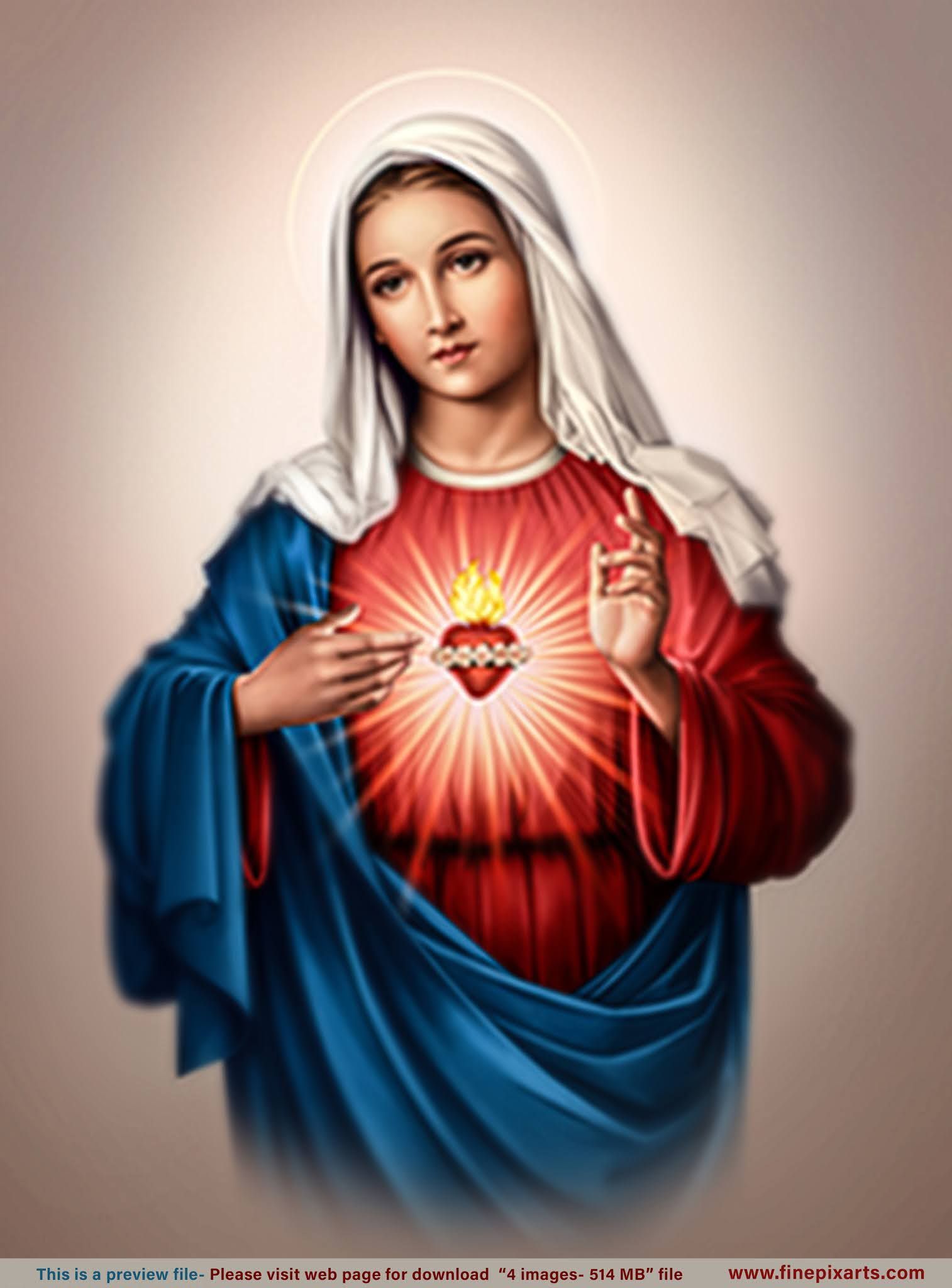Immaculate Heart of Mary Wallpapers - Top Free Immaculate Heart of Mary ...