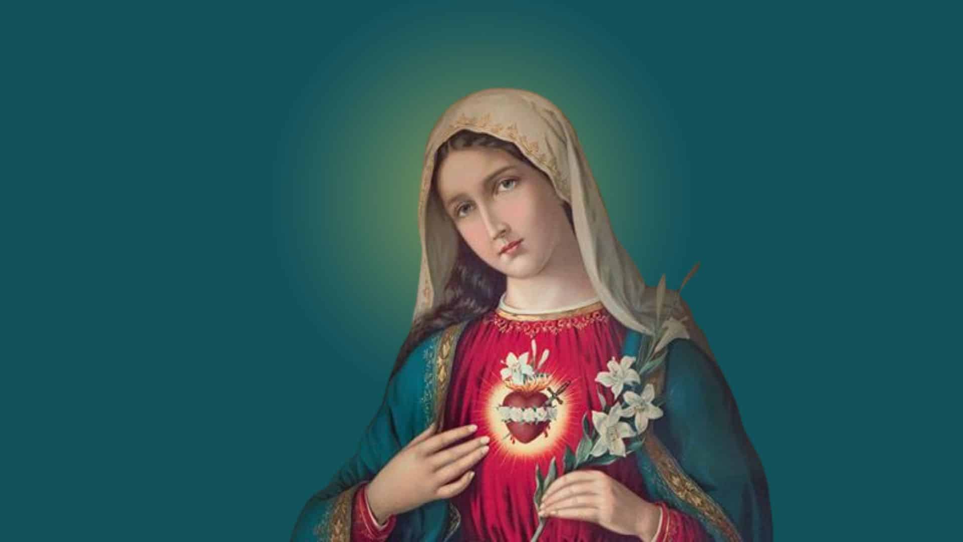 Immaculate Heart of Mary Wallpapers - Top Free Immaculate Heart of Mary ...