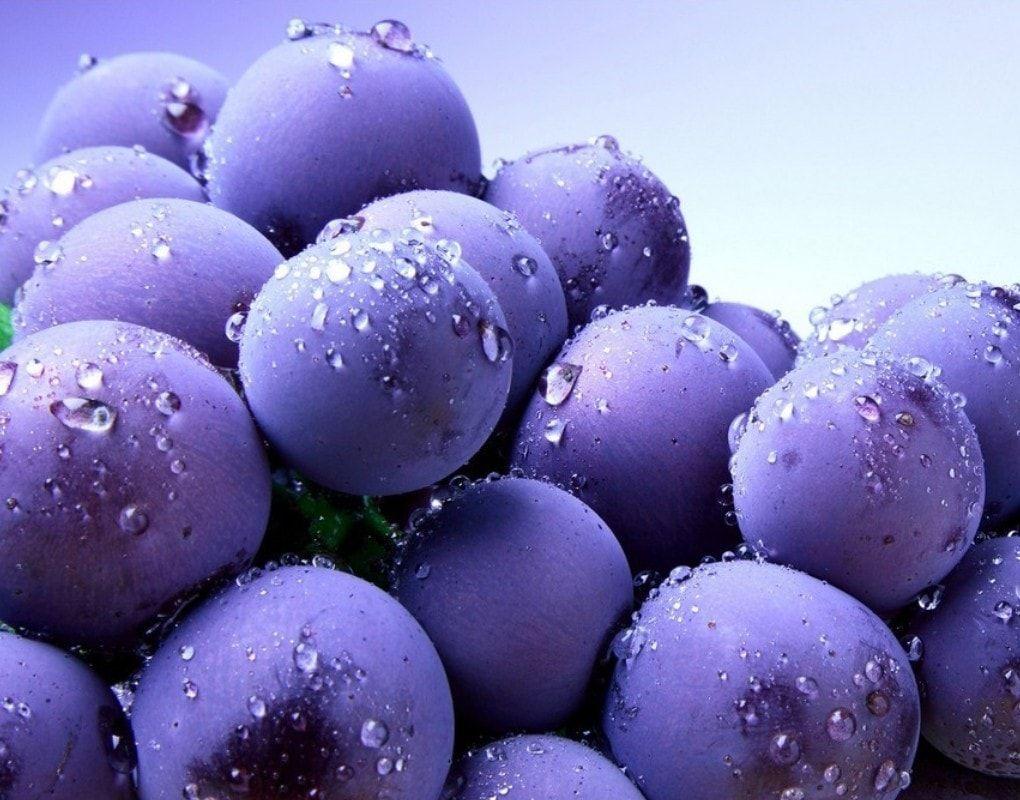 Blueberry Wallpapers - Top Free Blueberry Backgrounds - WallpaperAccess