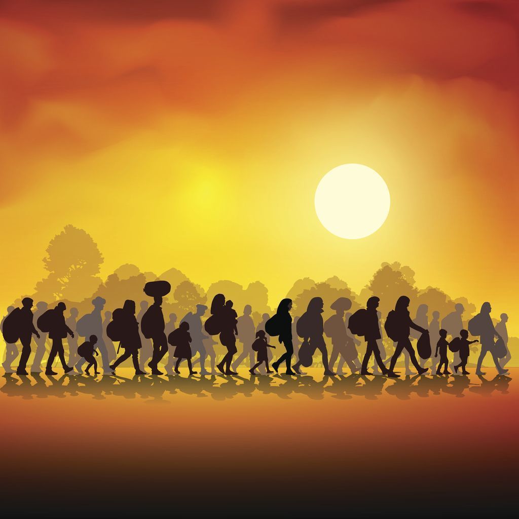 Migration Wallpapers - Top Free Migration Backgrounds - WallpaperAccess