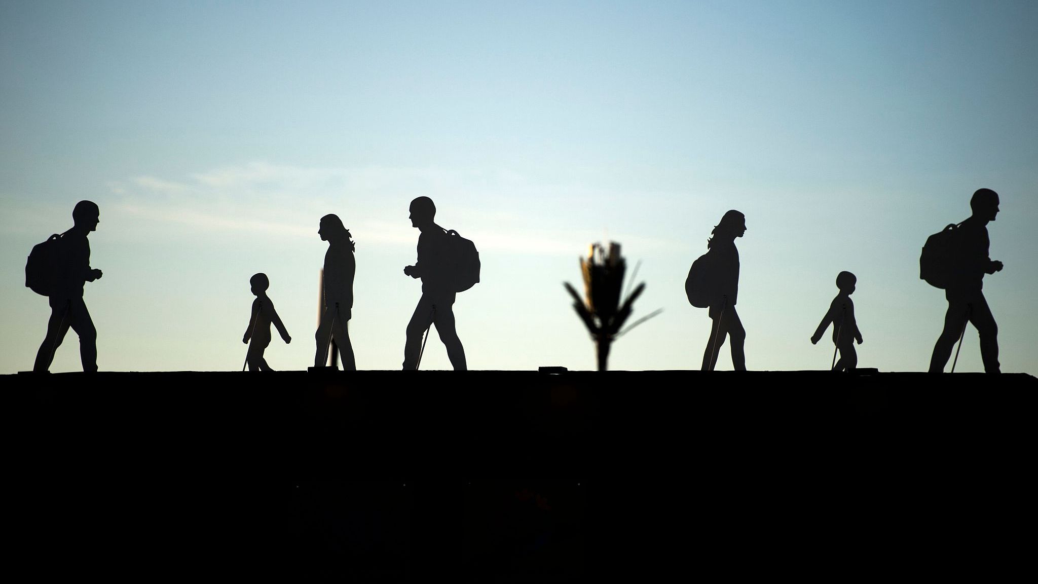 Migration Wallpapers - Top Free Migration Backgrounds - WallpaperAccess