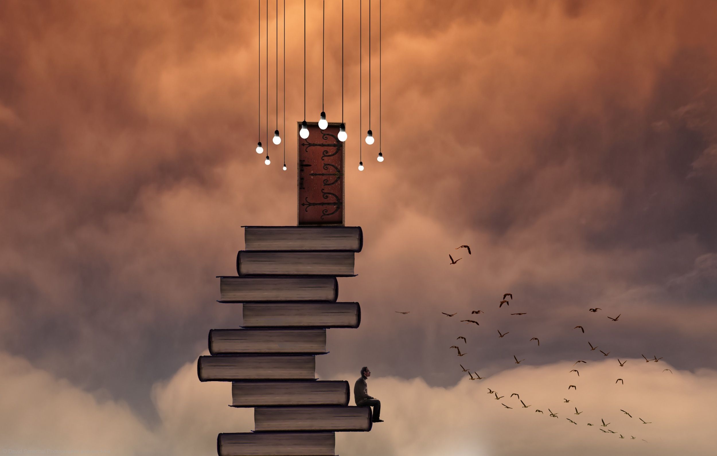 Migration Wallpapers - Top Free Migration Backgrounds - WallpaperAccess