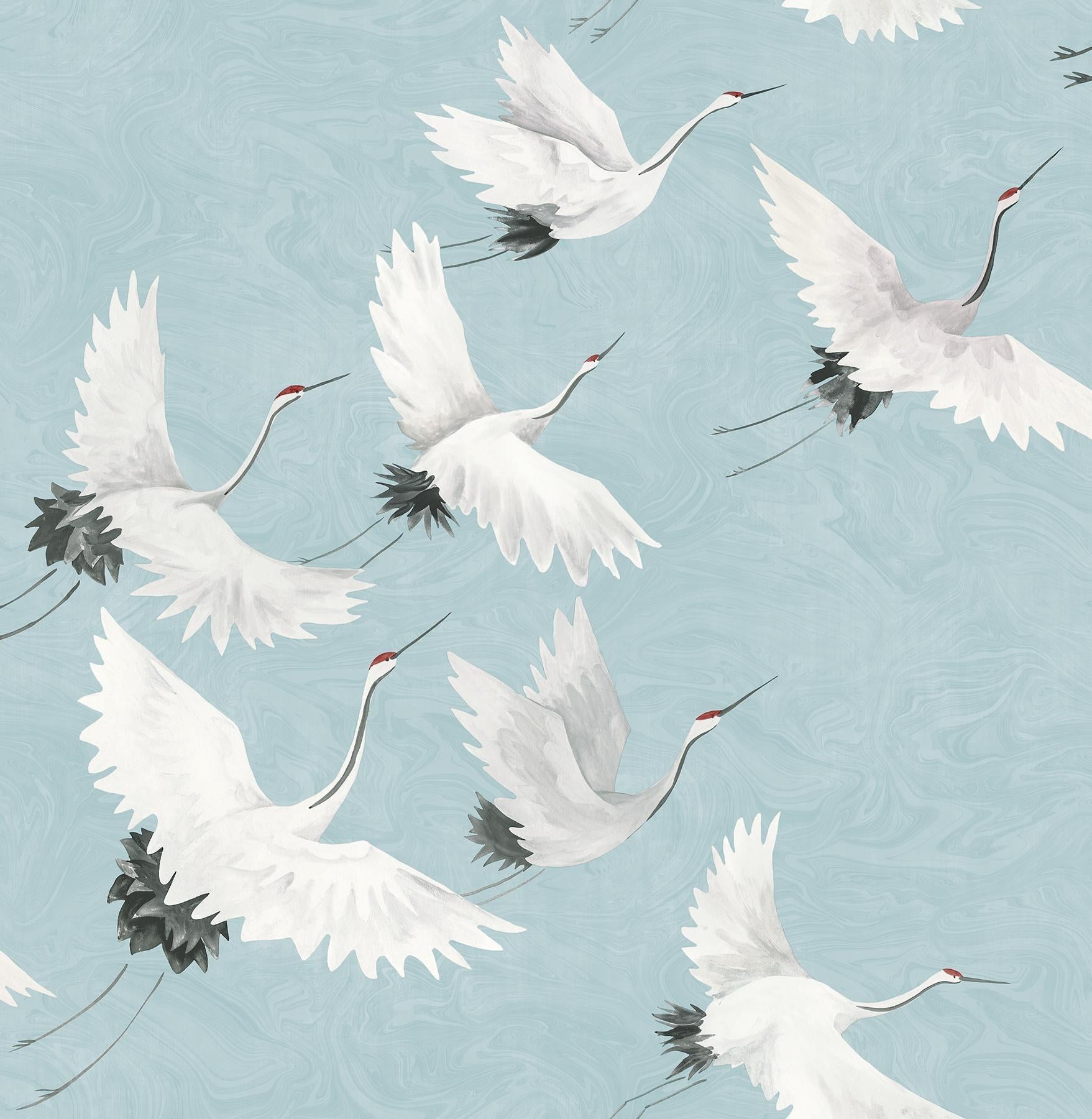 Migration Wallpapers - Top Free Migration Backgrounds - WallpaperAccess