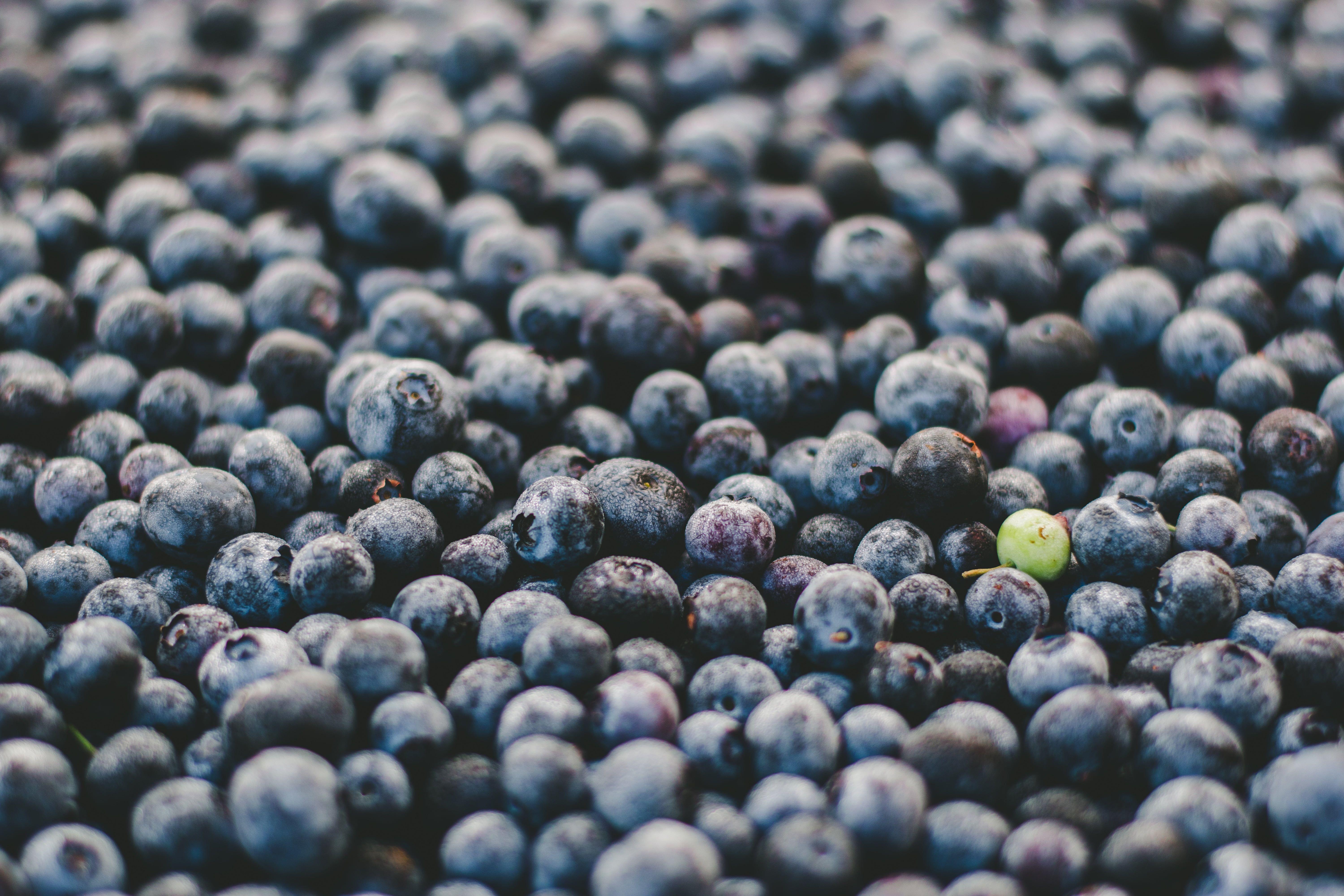 Blueberry Wallpapers - Top Free Blueberry Backgrounds - WallpaperAccess