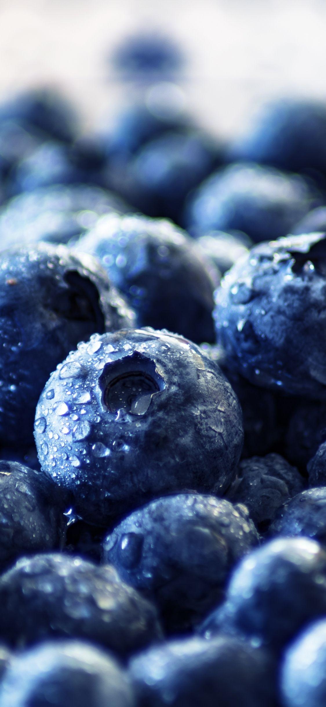 Blueberry Wallpapers - Top Free Blueberry Backgrounds - WallpaperAccess