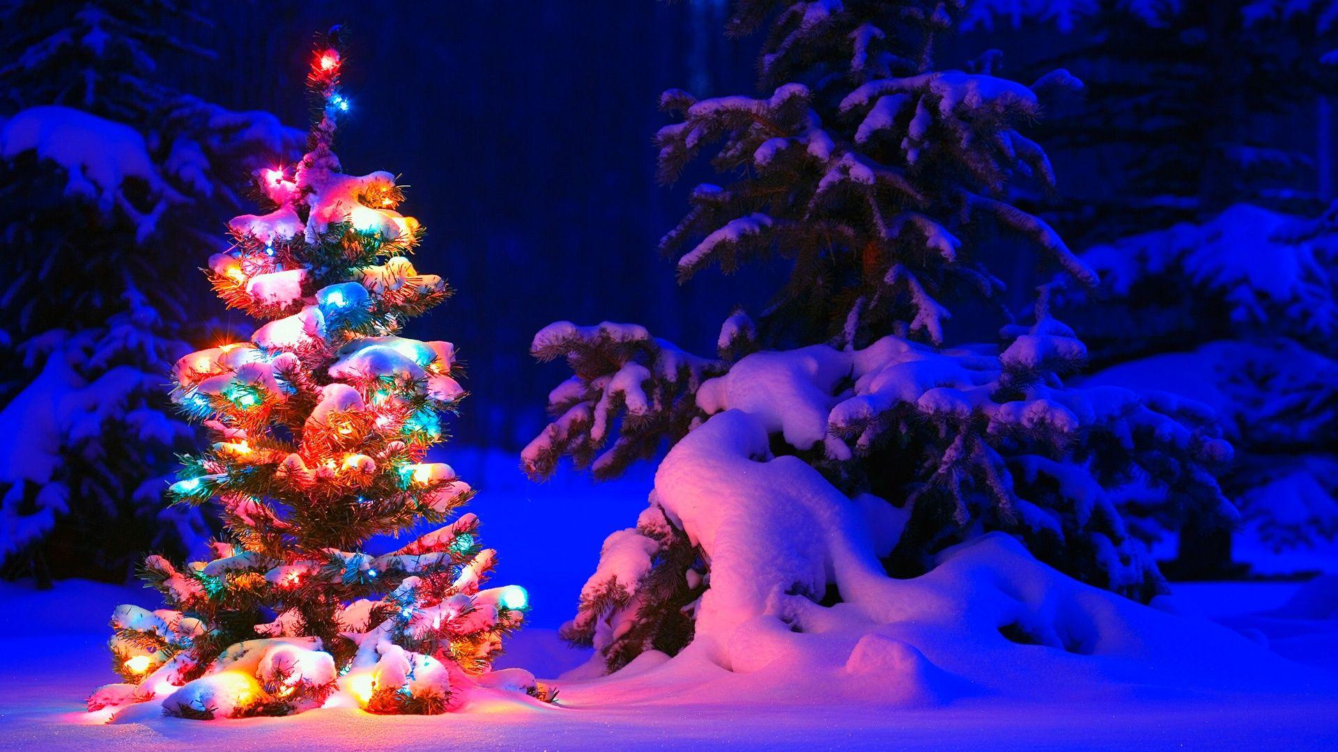 Snowy Christmas Wallpapers - Top Free Snowy Christmas Backgrounds ...