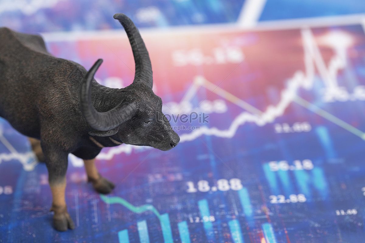Bull Trading Wallpapers - Top Free Bull Trading Backgrounds ...