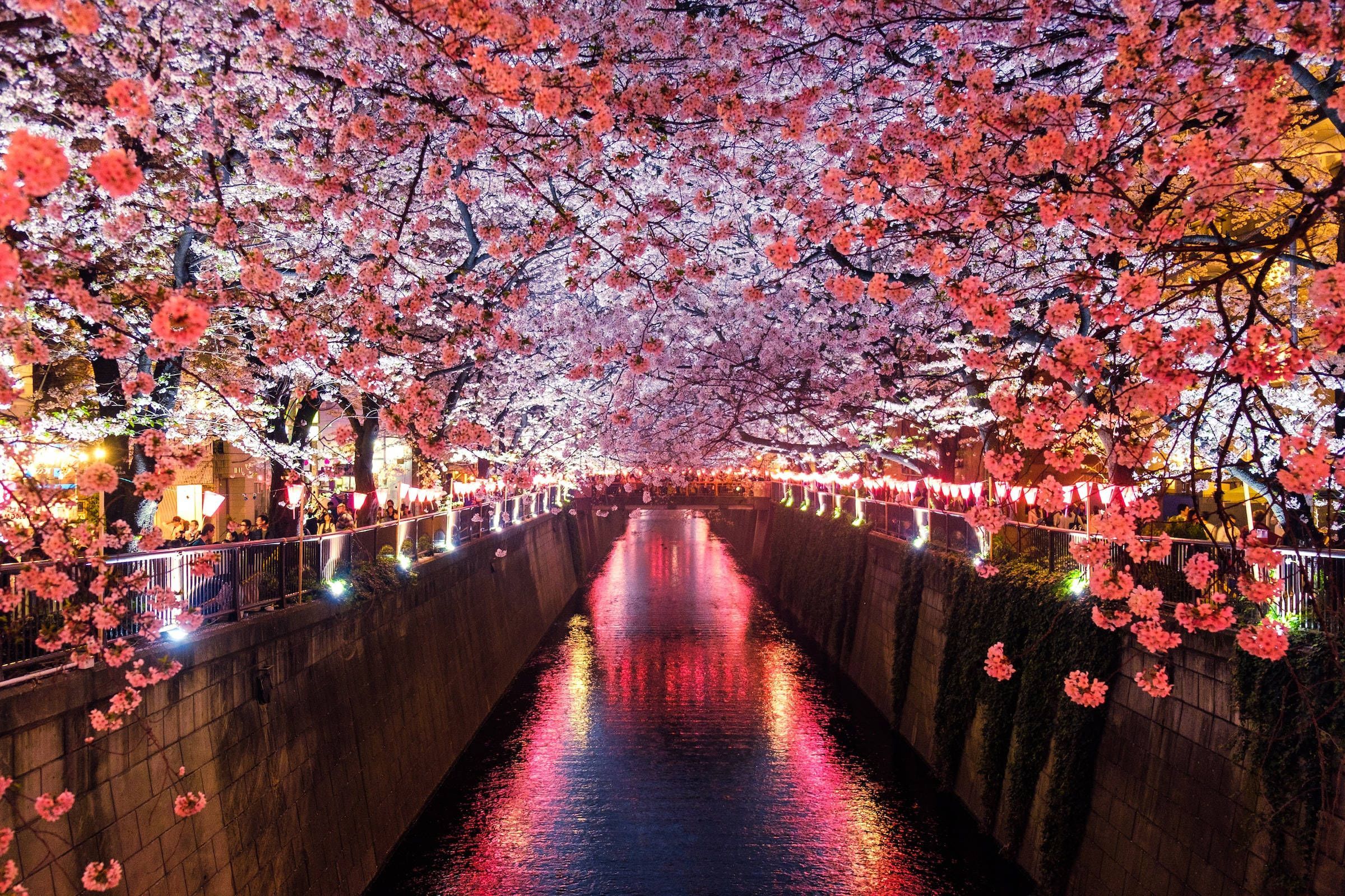 Japanese River Wallpapers - Top Free Japanese River Backgrounds ...