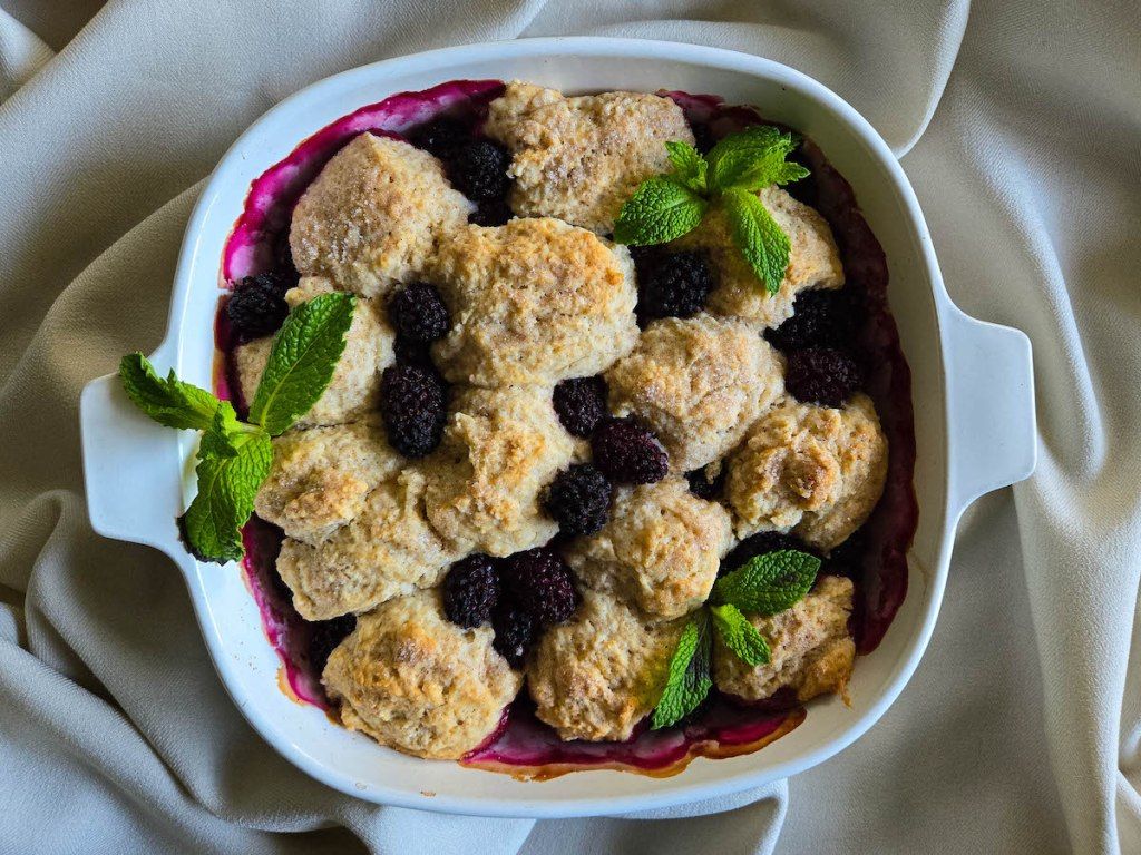 Cobbler Wallpapers - Top Free Cobbler Backgrounds - WallpaperAccess