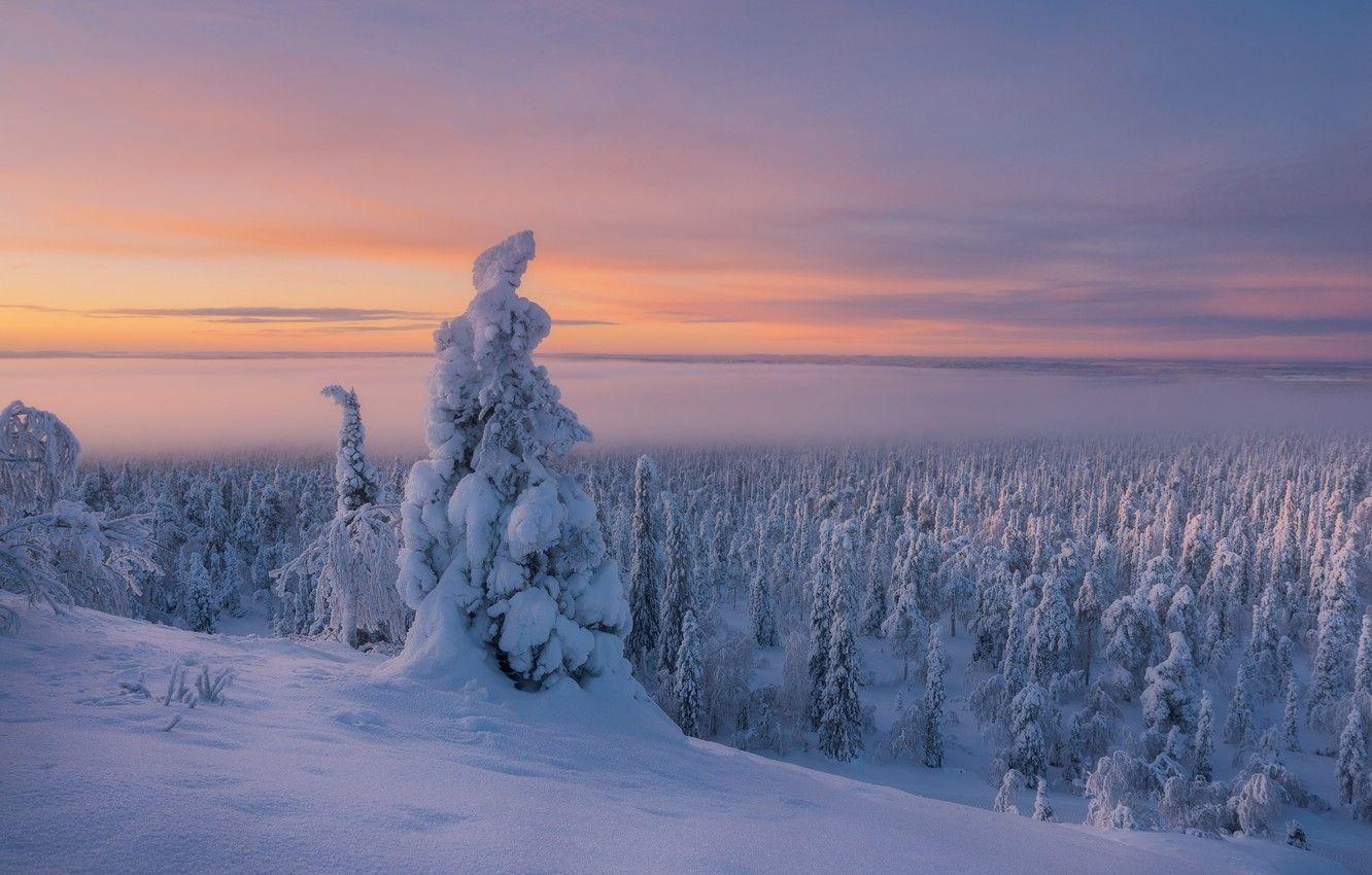 Lapland Wallpapers - Top Free Lapland Backgrounds - WallpaperAccess
