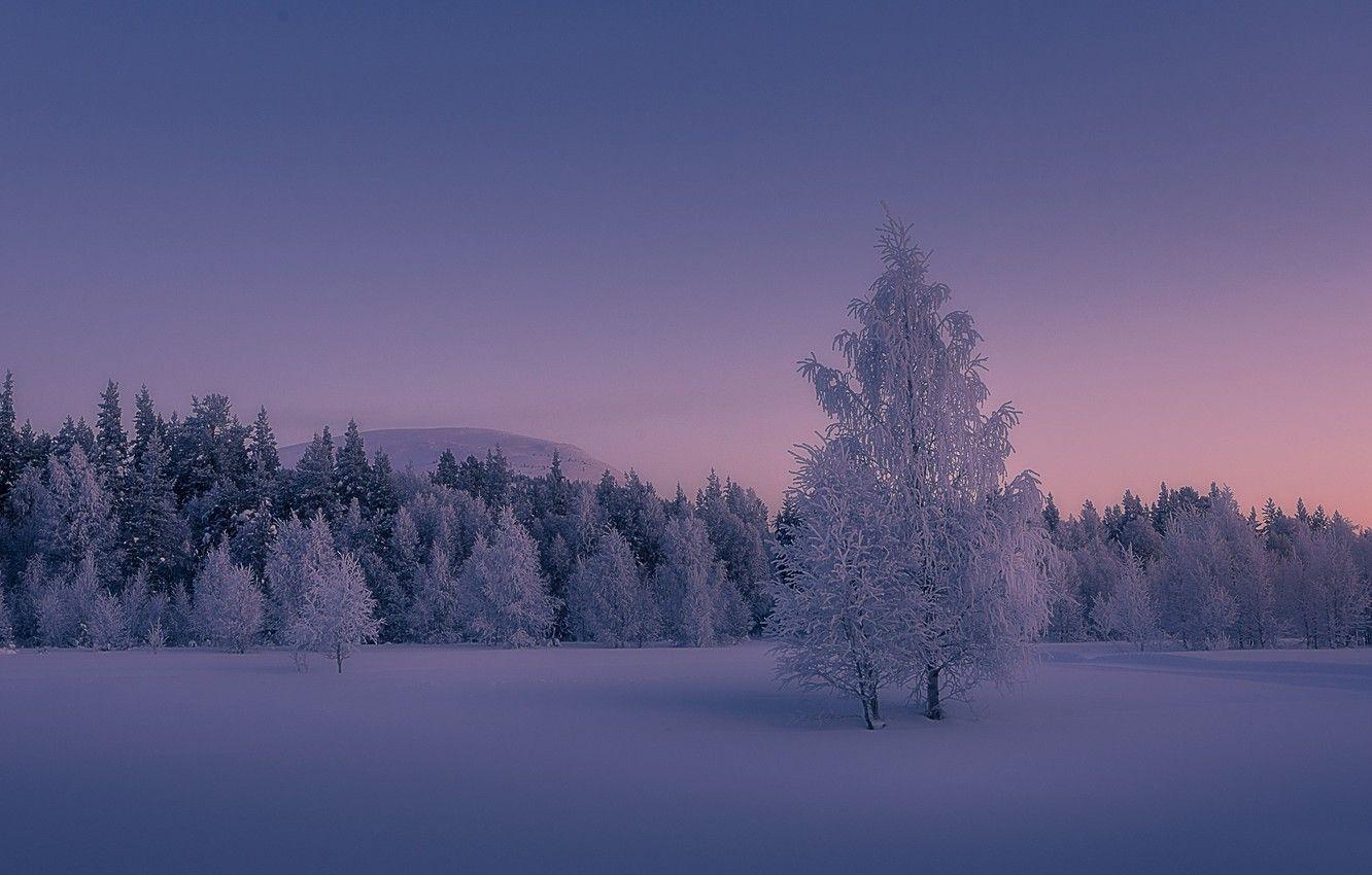 Lapland Wallpapers - Top Free Lapland Backgrounds - WallpaperAccess