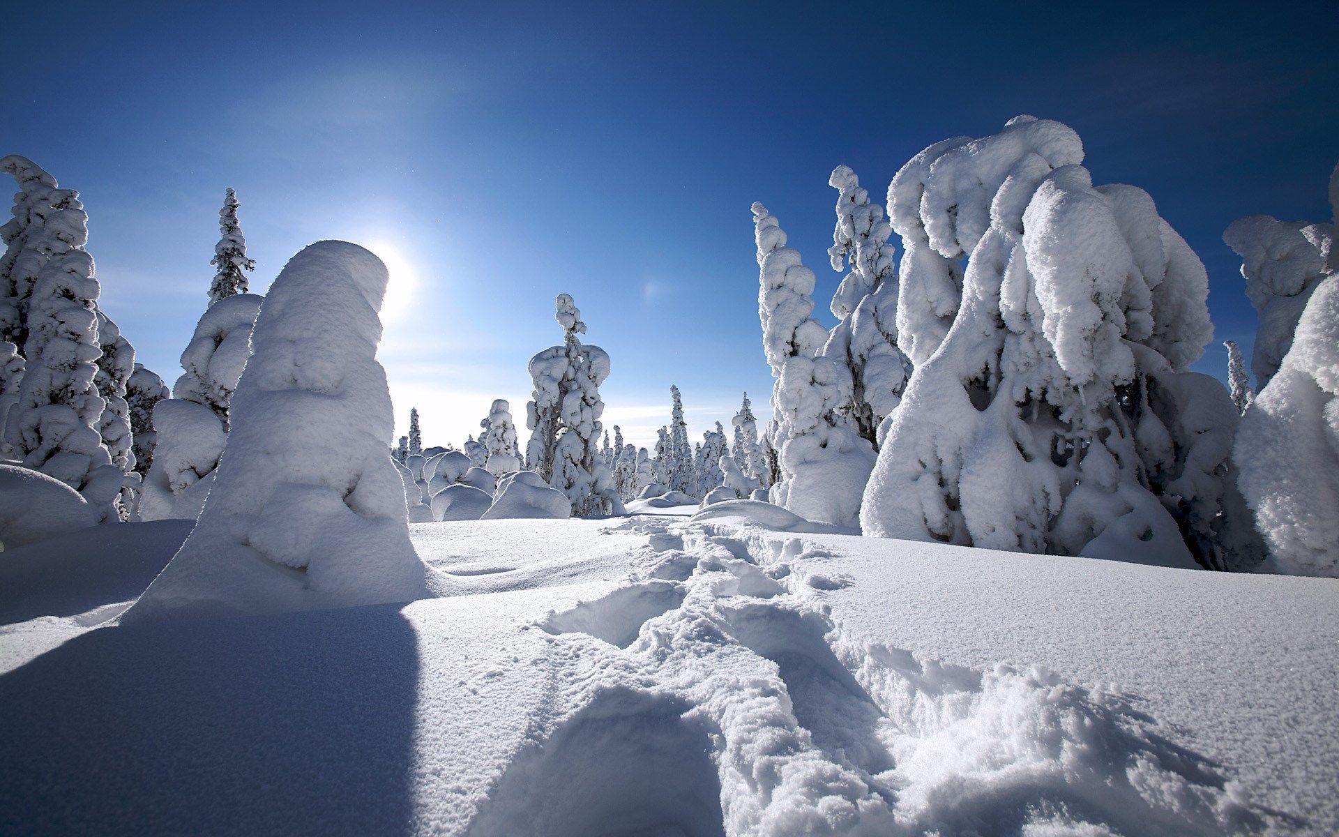 Lapland Wallpapers - Top Free Lapland Backgrounds - WallpaperAccess