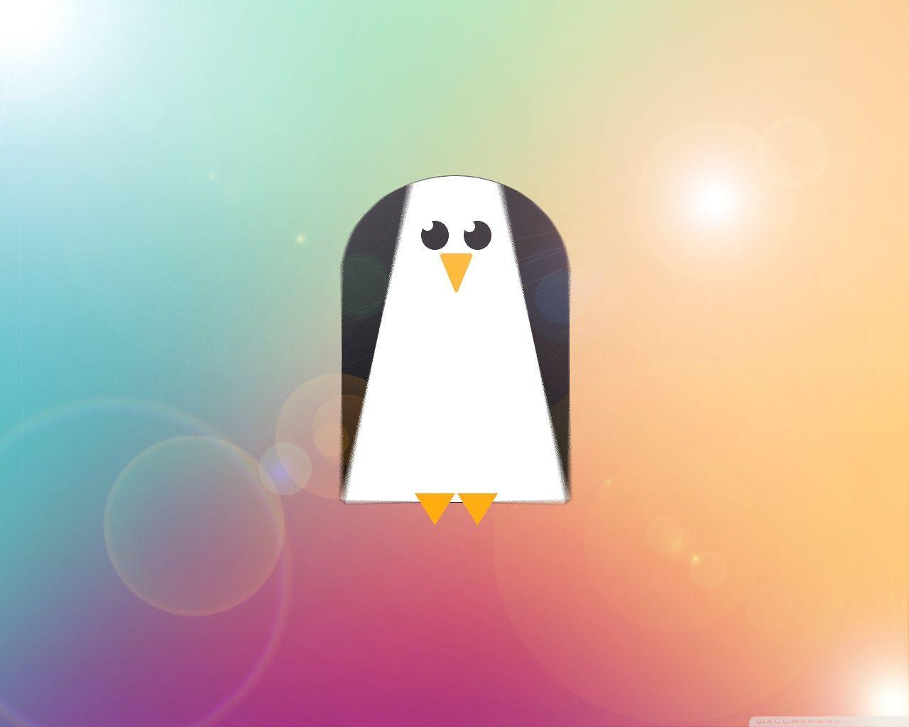 Pingu Wallpapers - Top Free Pingu Backgrounds - WallpaperAccess