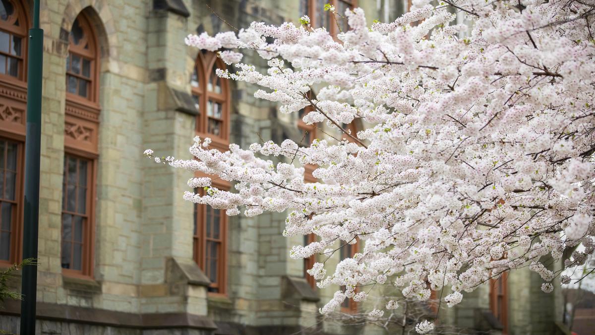 UPenn Wallpapers - Top Free UPenn Backgrounds - WallpaperAccess