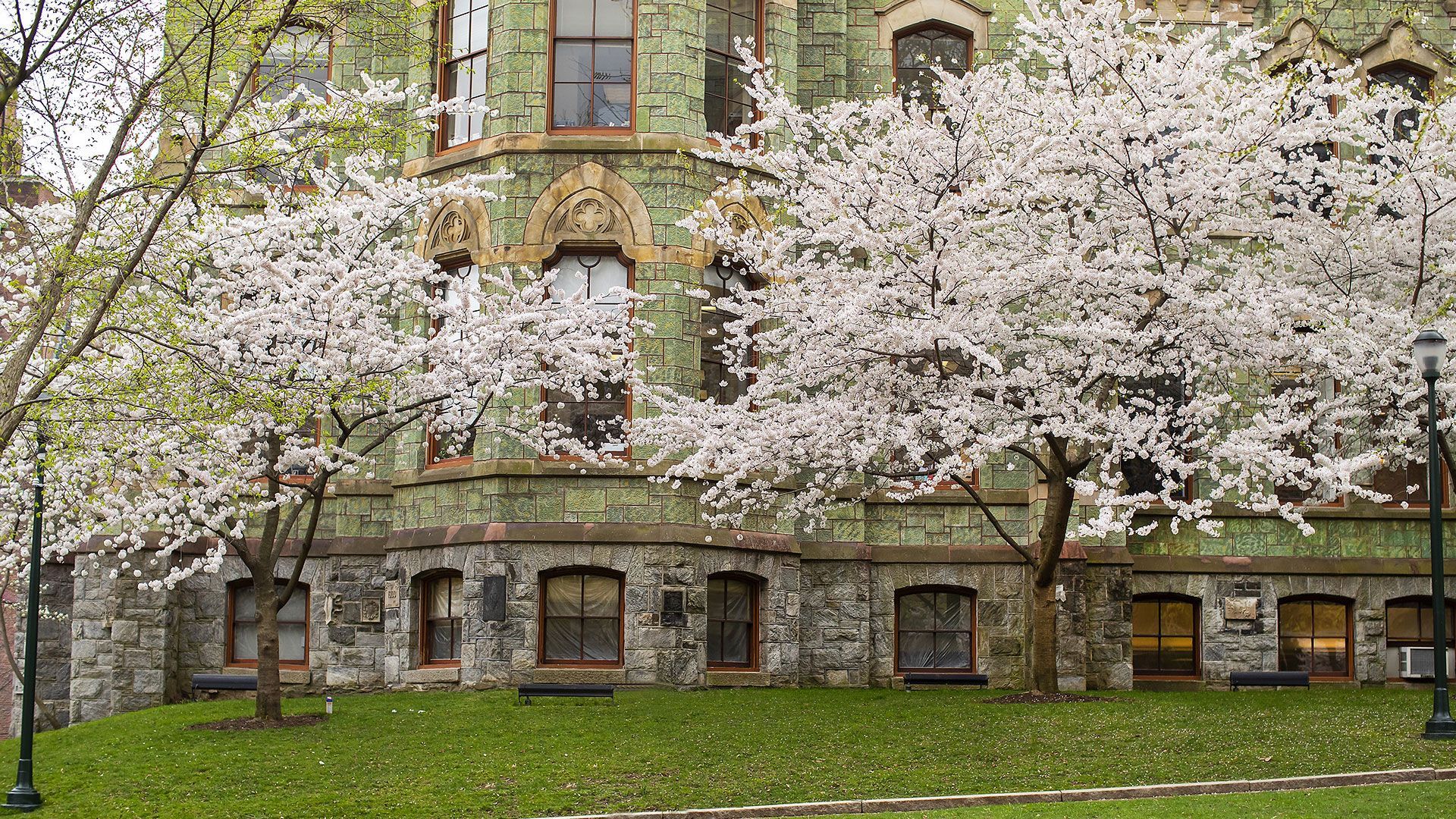 UPenn Wallpapers - Top Free UPenn Backgrounds - WallpaperAccess