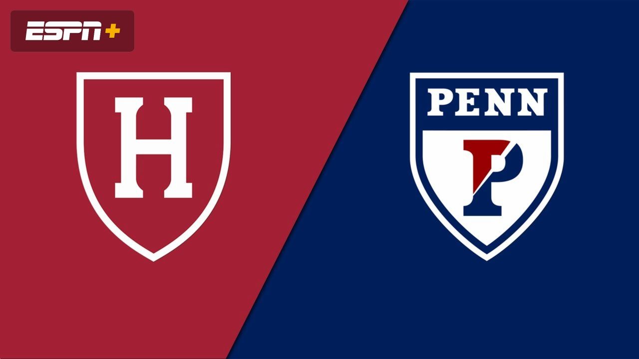 UPenn Wallpapers - Top Free UPenn Backgrounds - WallpaperAccess