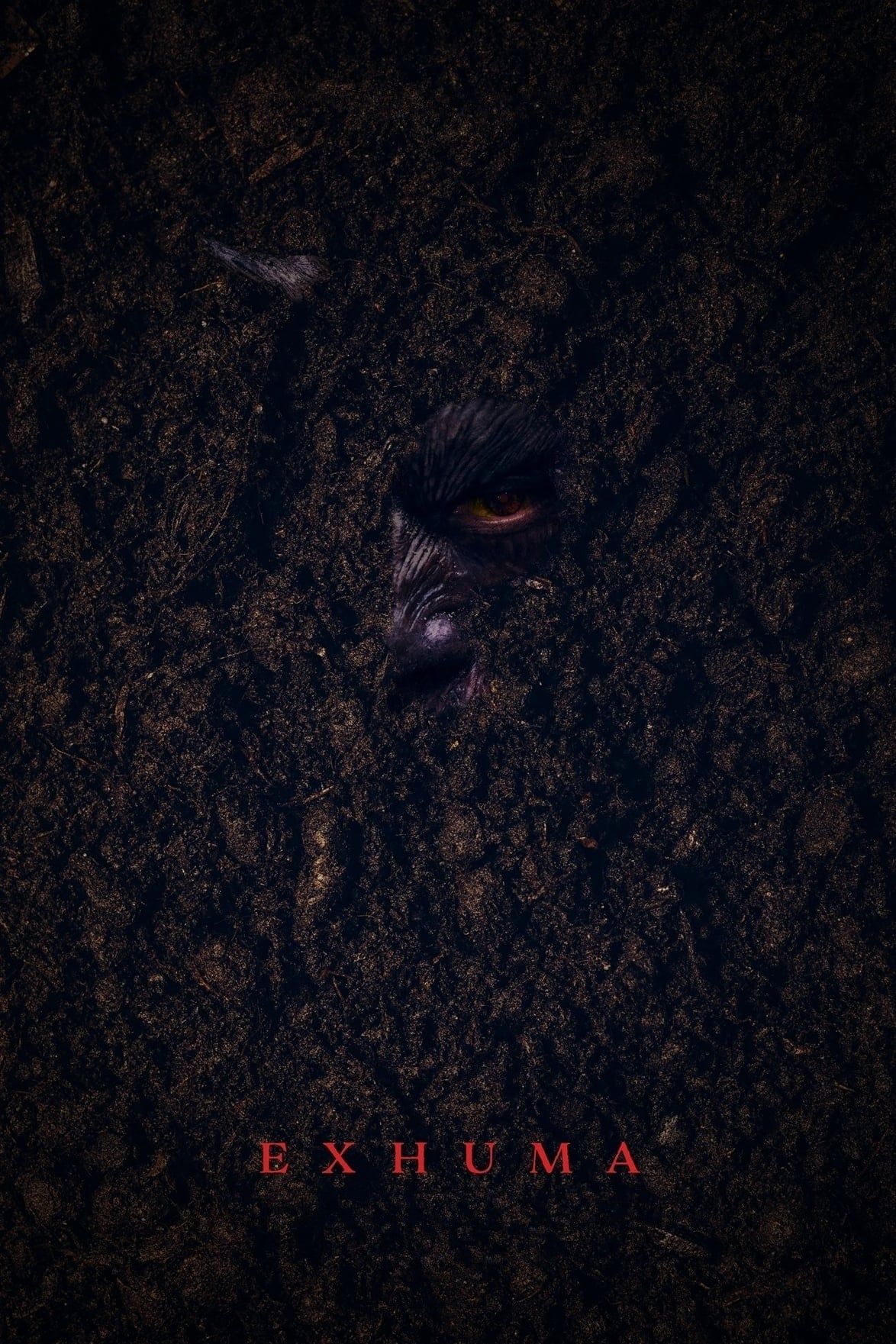 Exhuma Wallpapers - Top Free Exhuma Backgrounds - WallpaperAccess
