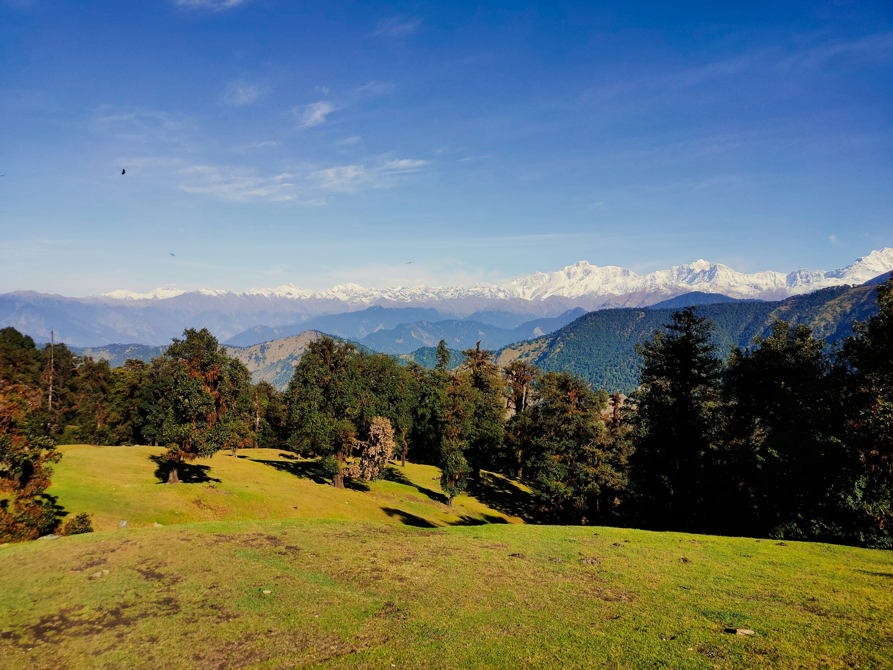 Chopta Wallpapers - Top Free Chopta Backgrounds - WallpaperAccess