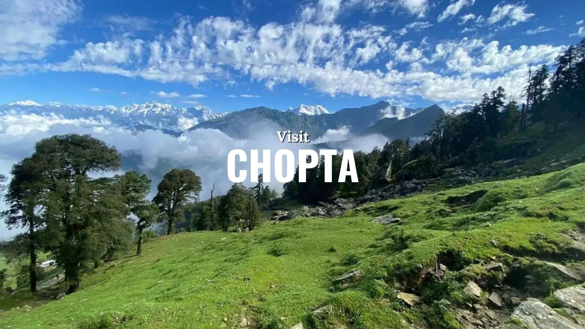 Chopta Wallpapers - Top Free Chopta Backgrounds - WallpaperAccess