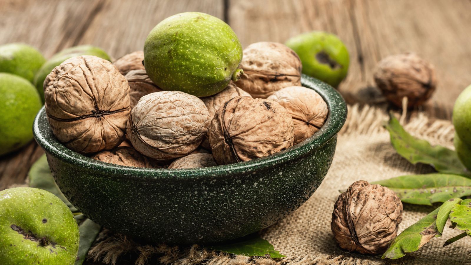 Walnut Tree Wallpapers - Top Free Walnut Tree Backgrounds - WallpaperAccess