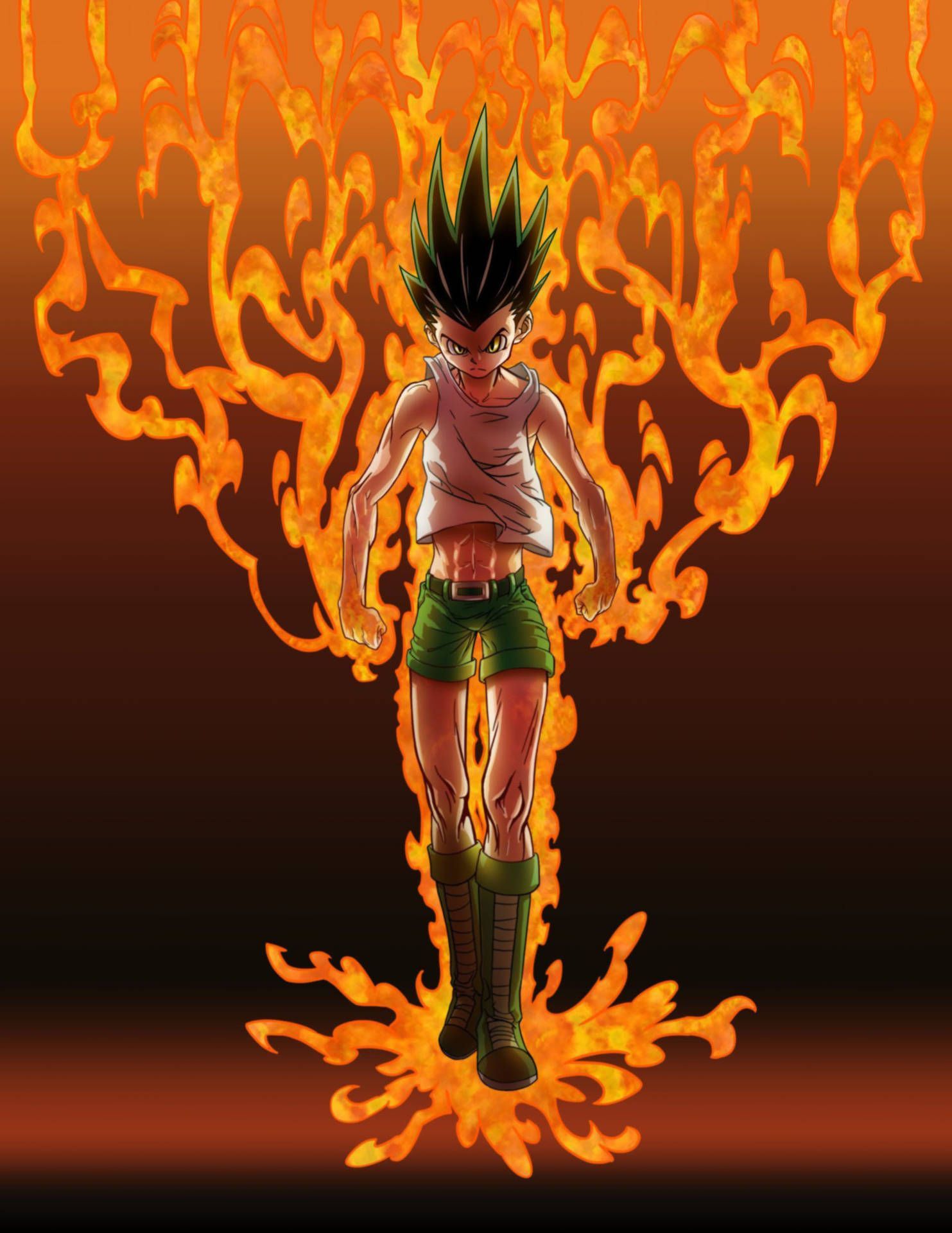 Angry Gon Wallpapers - Top Free Angry Gon Backgrounds - WallpaperAccess