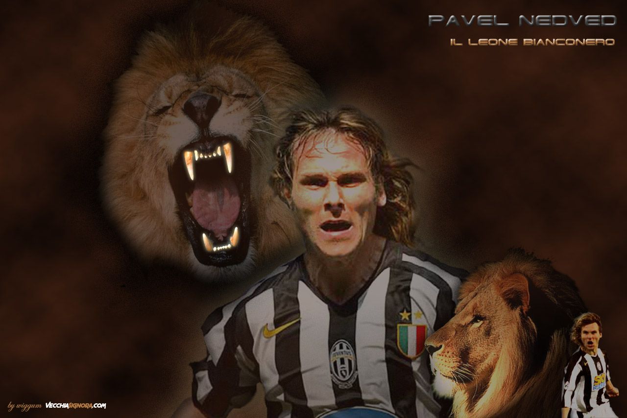 Pavel Nedved Wallpapers - Top Free Pavel Nedved Backgrounds ...