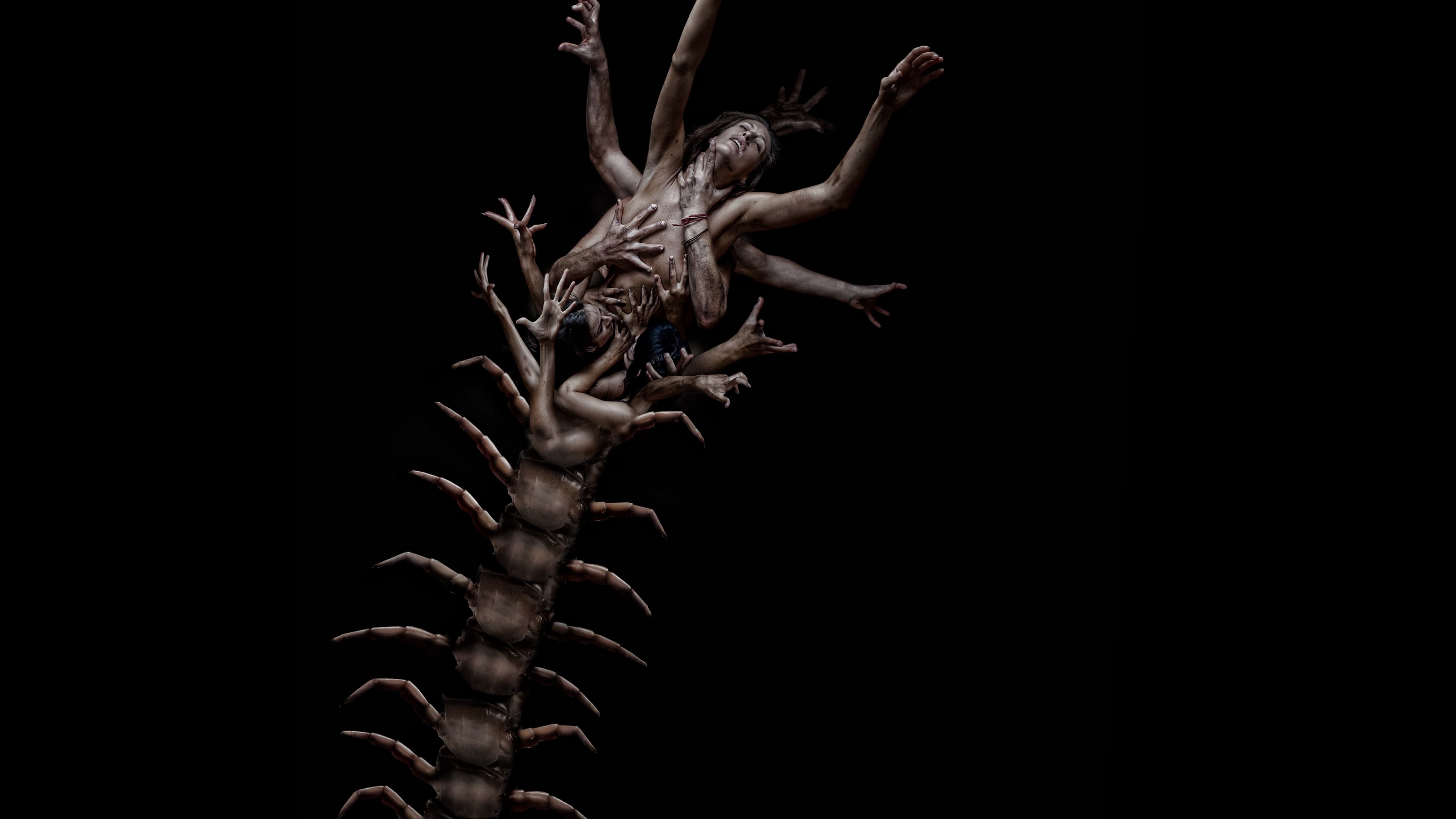 The Human Centipede Wallpapers Top Free The Human Centipede Backgrounds Wallpaperaccess