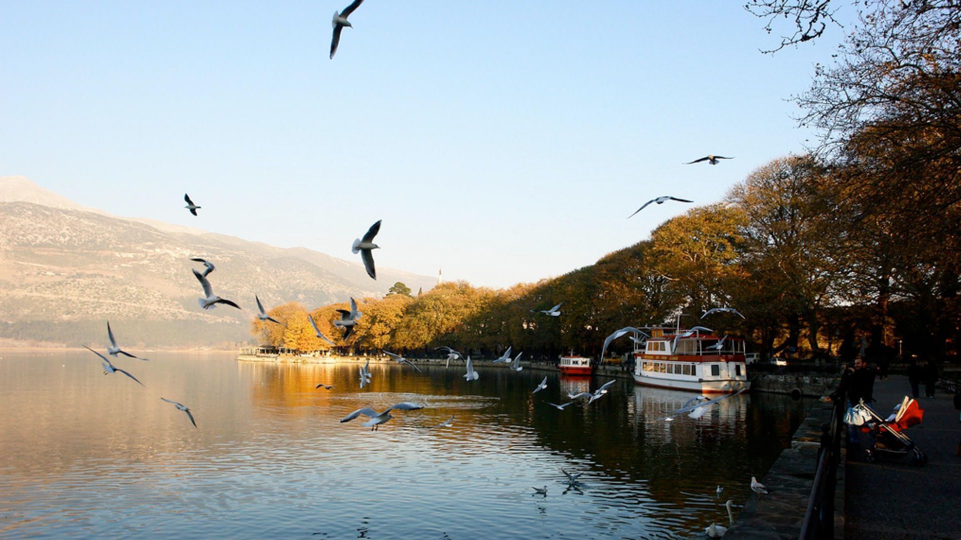 Ioannina Wallpapers Top Free Ioannina Backgrounds Wallpaperaccess