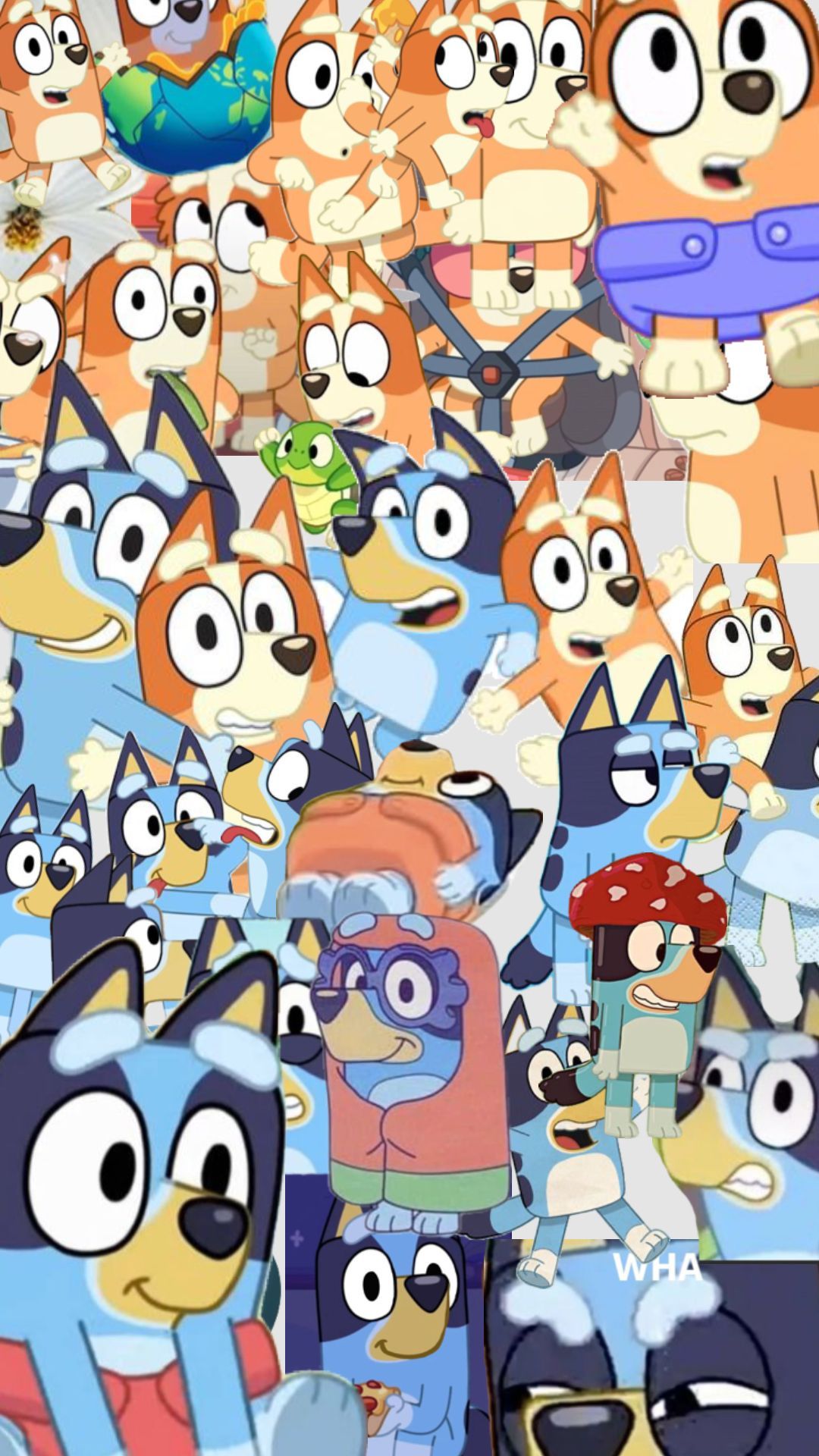 Bluey And Bingo Wallpapers - Top Free Bluey And Bingo Backgrounds ...