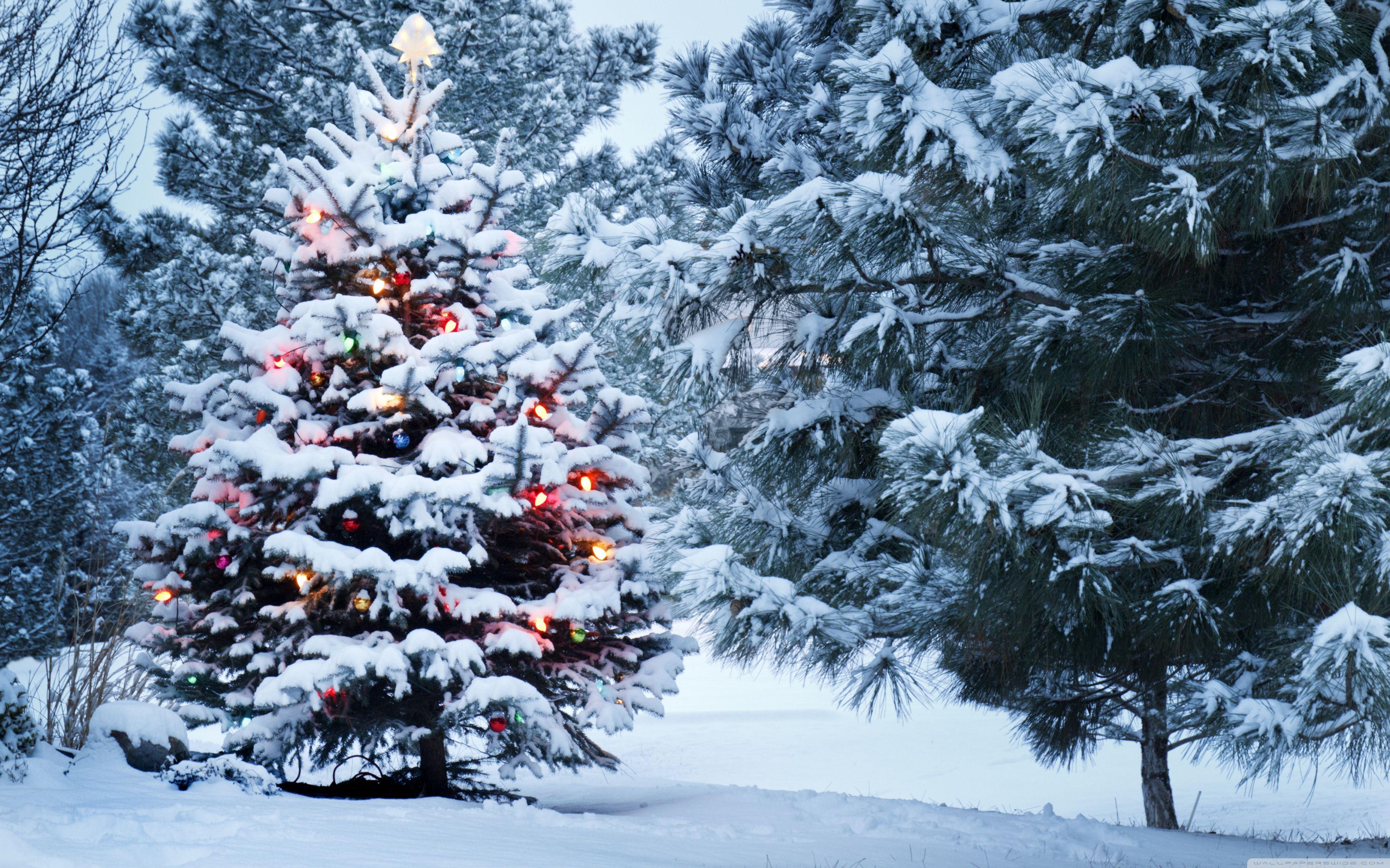 Christmas Snow Wallpapers - Top Free Christmas Snow Backgrounds ...