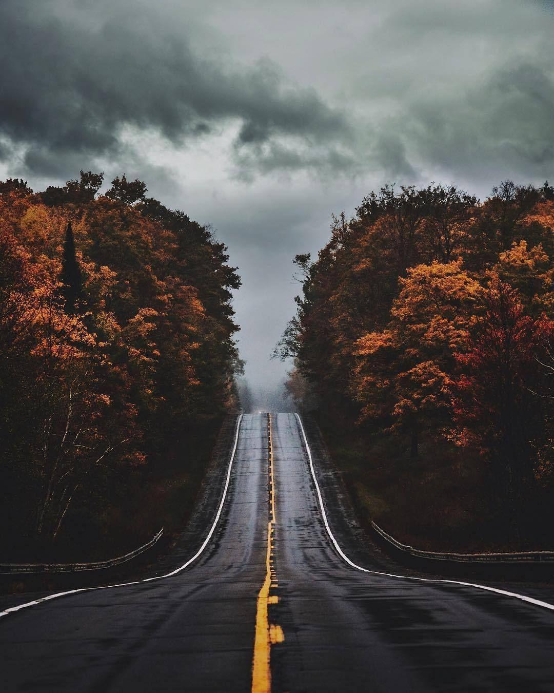 Cozy Forest Wallpapers - Top Free Cozy Forest Backgrounds - WallpaperAccess