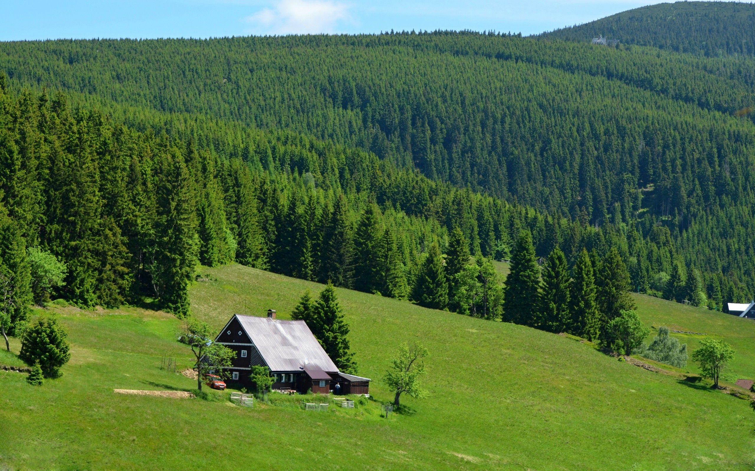 Cozy Forest Wallpapers - Top Free Cozy Forest Backgrounds - WallpaperAccess