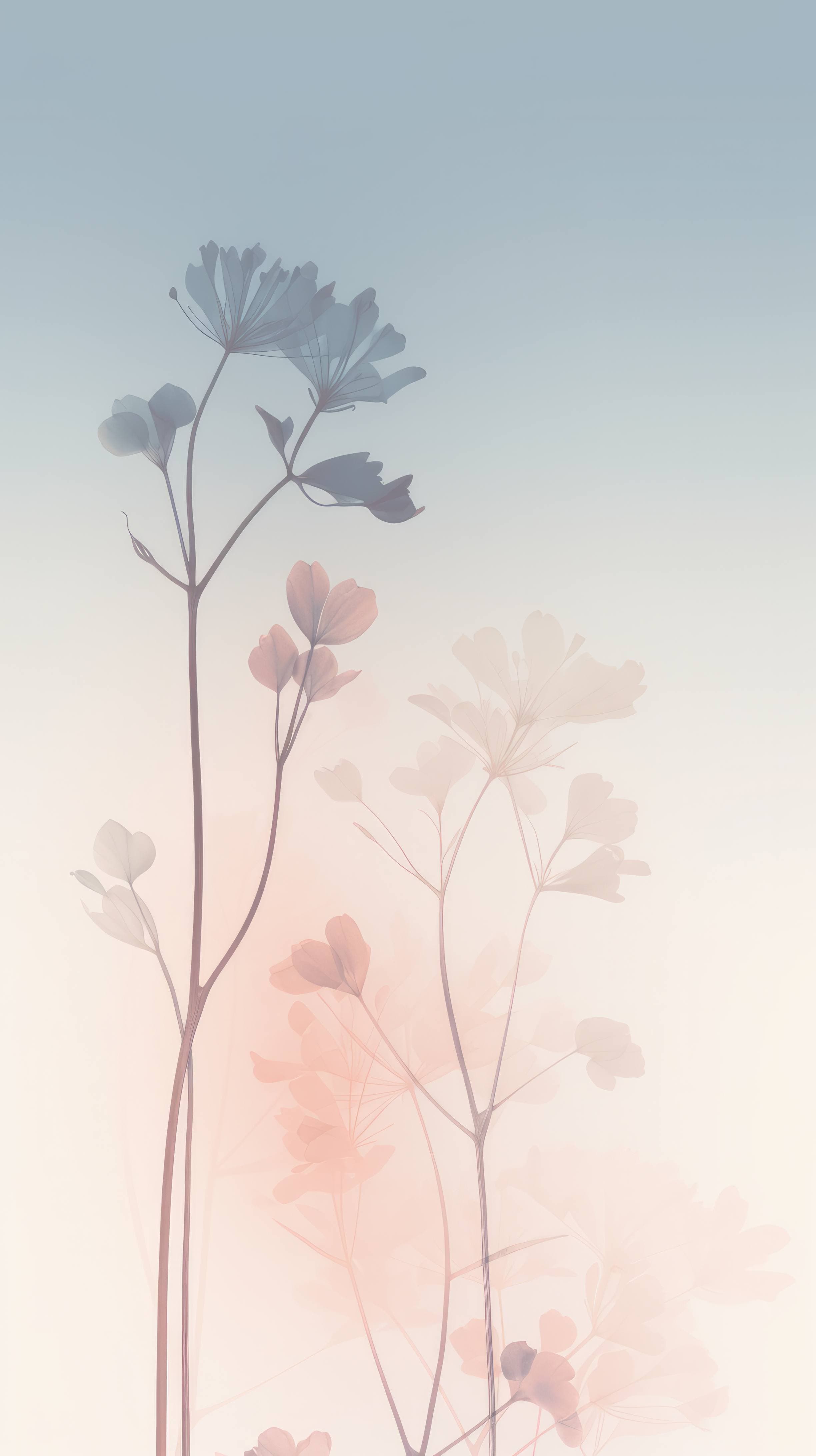Minimalist Cherry Blossom Wallpapers - Top Free Minimalist Cherry ...