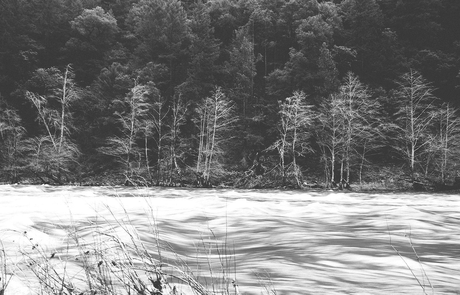 White Forest Wallpapers - Top Free White Forest Backgrounds ...