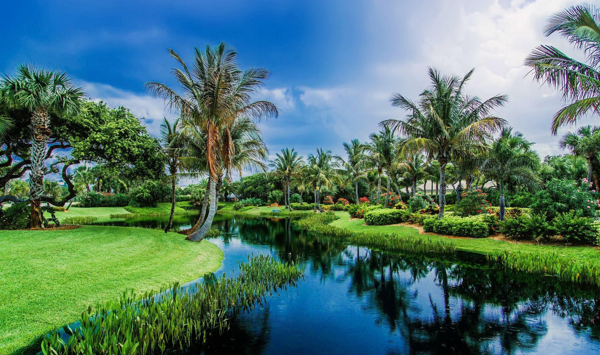 Cool Nature Wallpapers - Top Những Hình Ảnh Đẹp