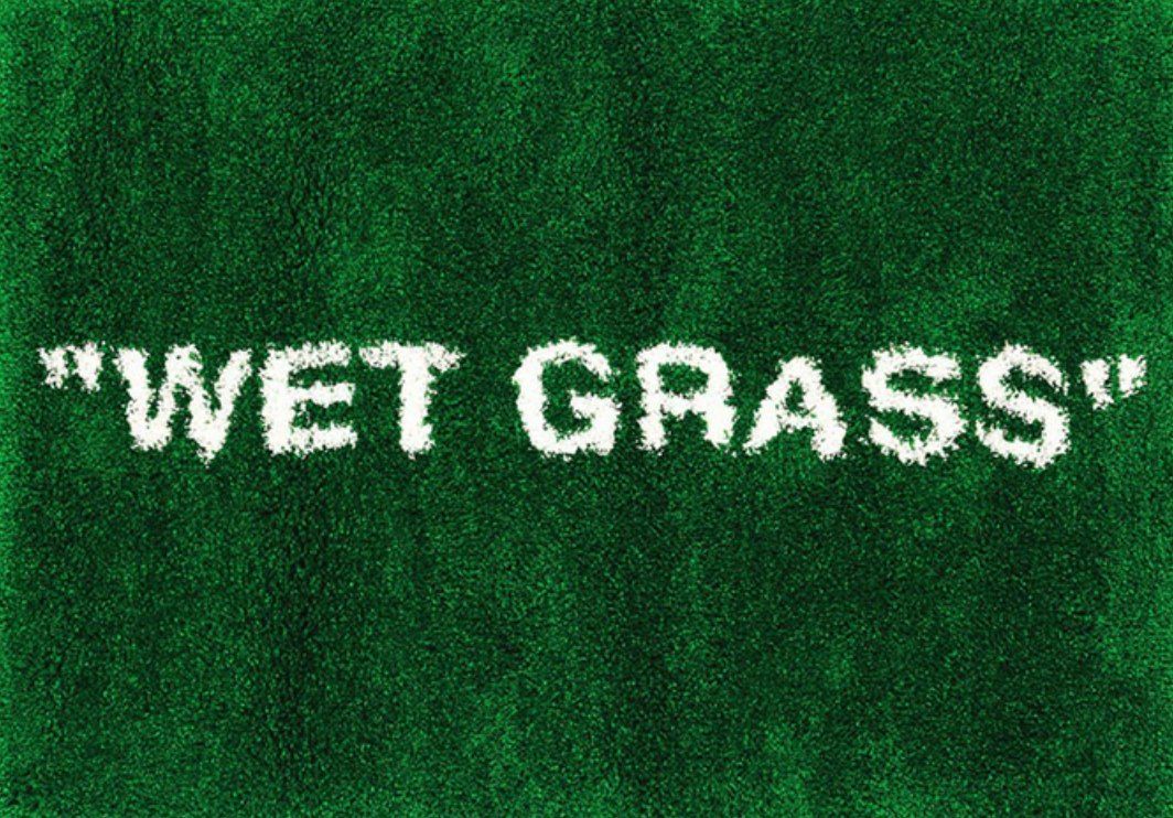 Wet Grass Wallpapers - Top Free Wet Grass Backgrounds - WallpaperAccess