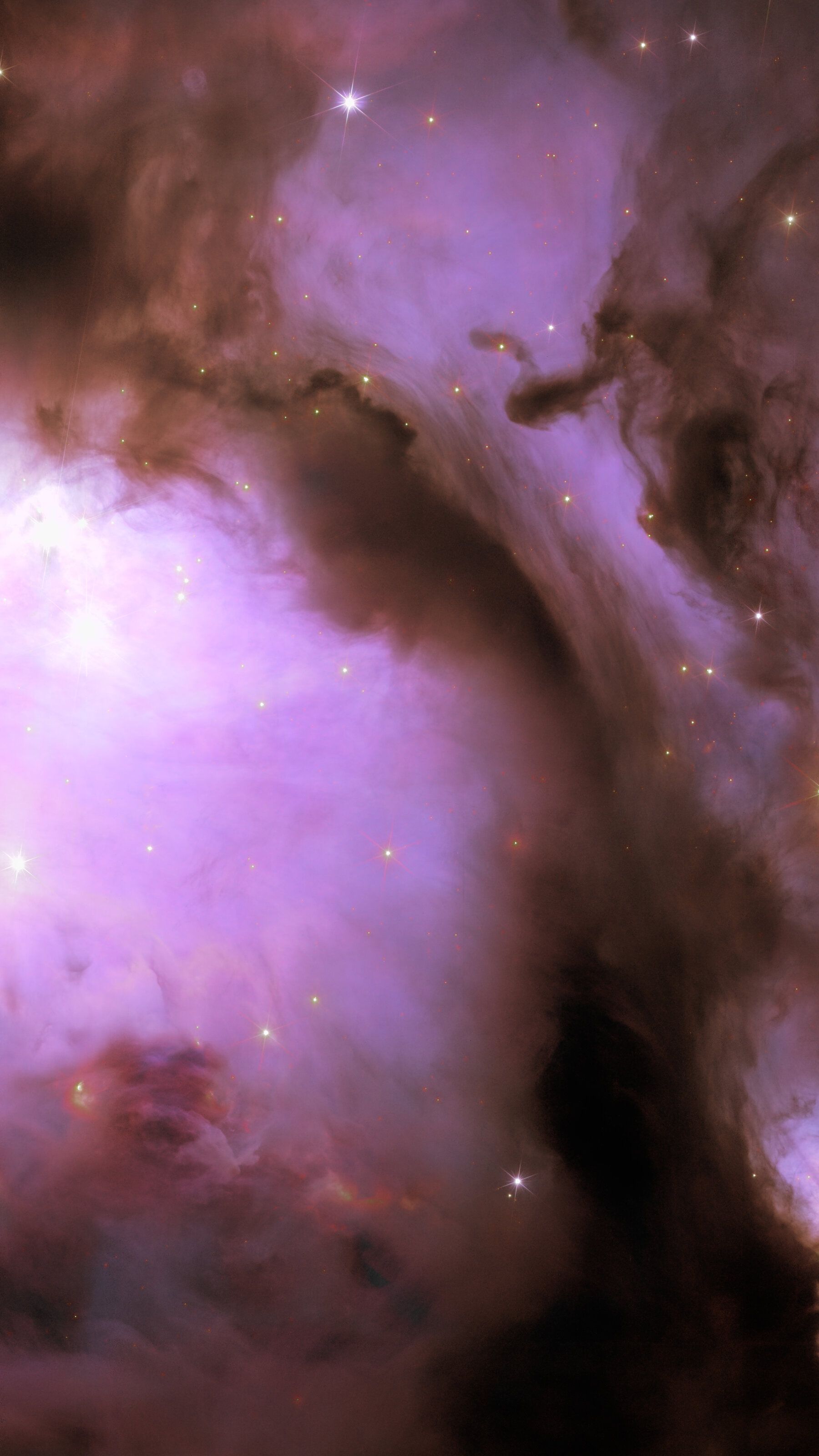 Euclid Wallpapers - Top Free Euclid Backgrounds - WallpaperAccess