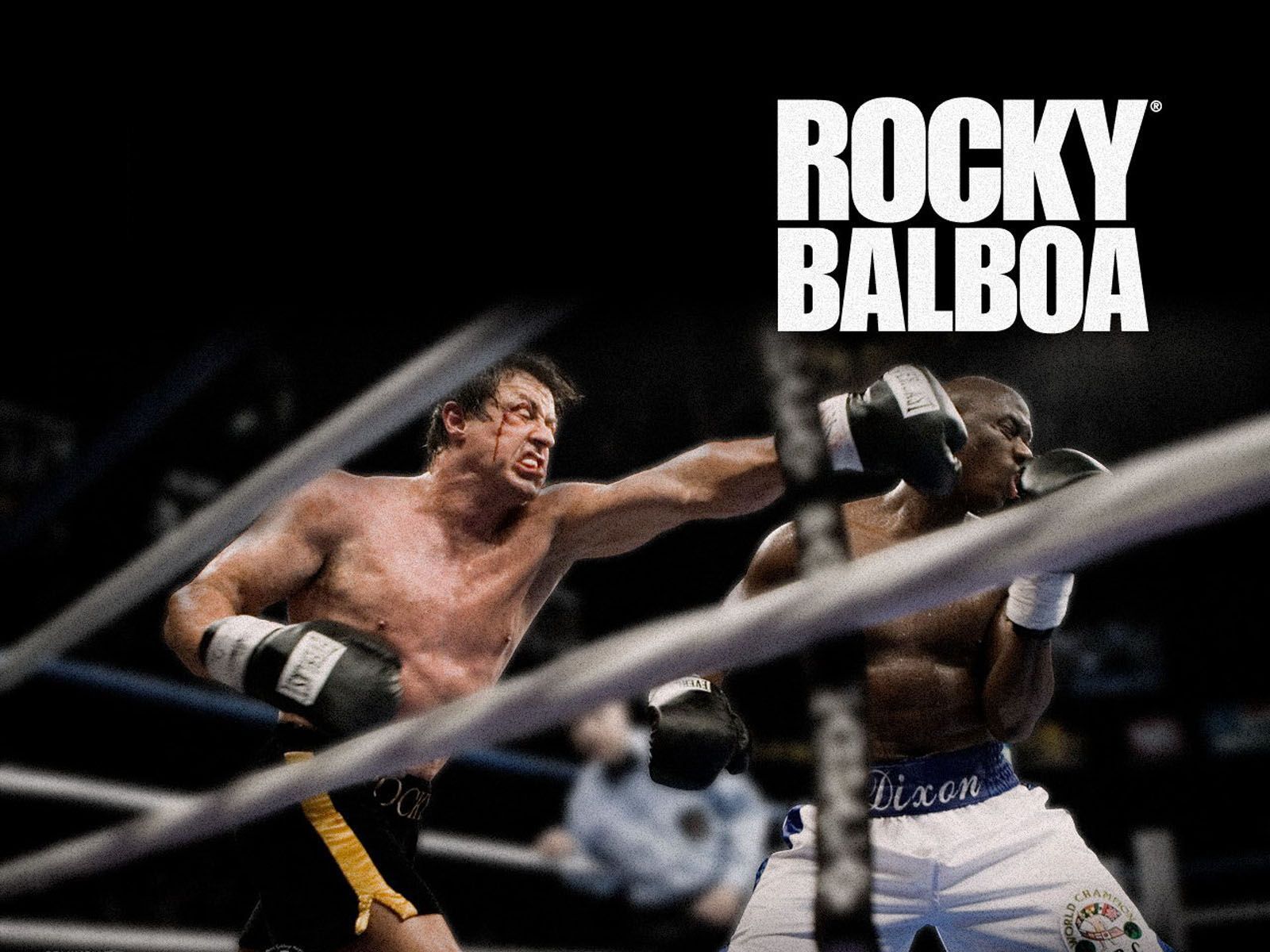Rocky Boxing Wallpapers - Top Free Rocky Boxing Backgrounds ...