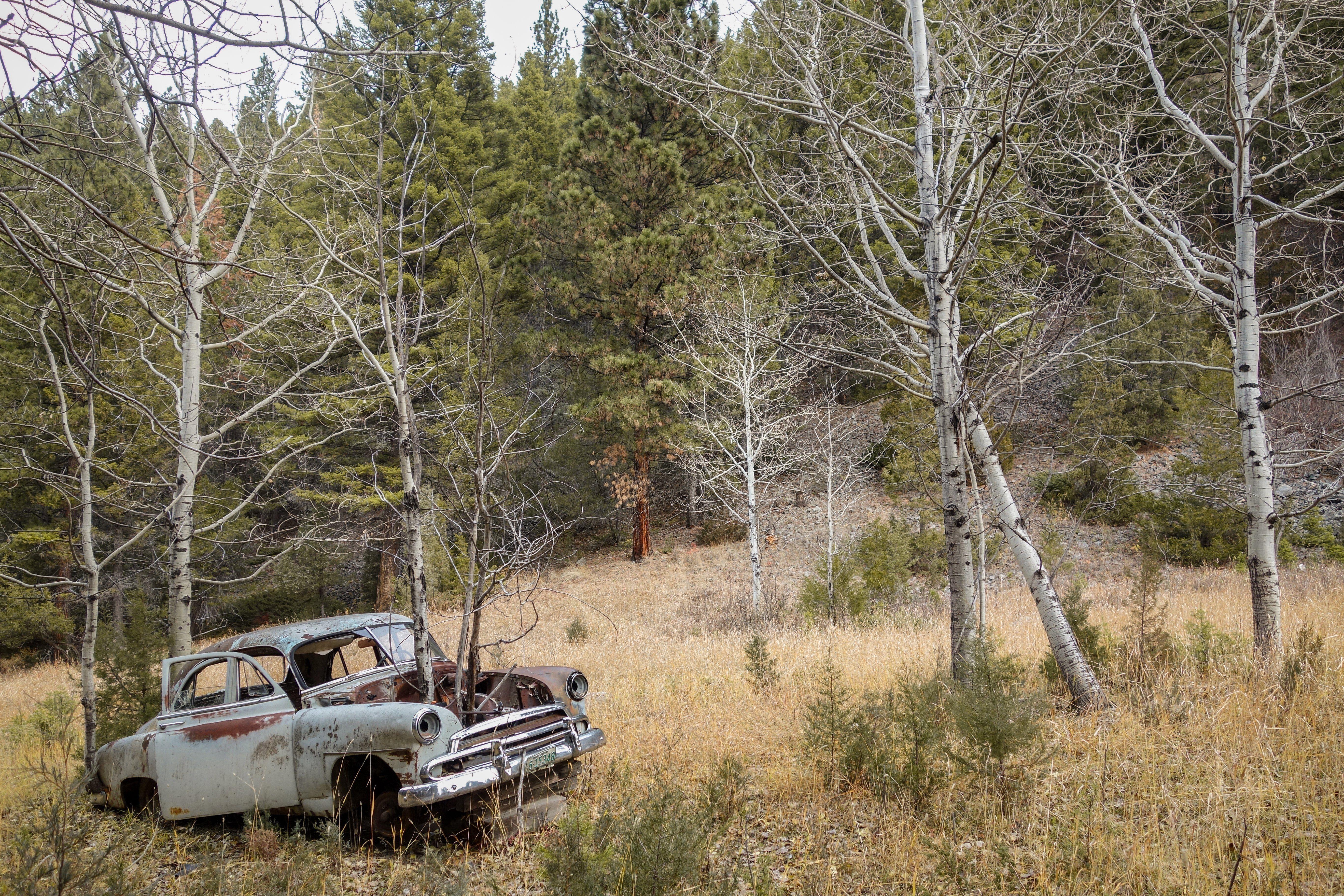 Rusty Old Car Wallpapers - Top Free Rusty Old Car Backgrounds ...