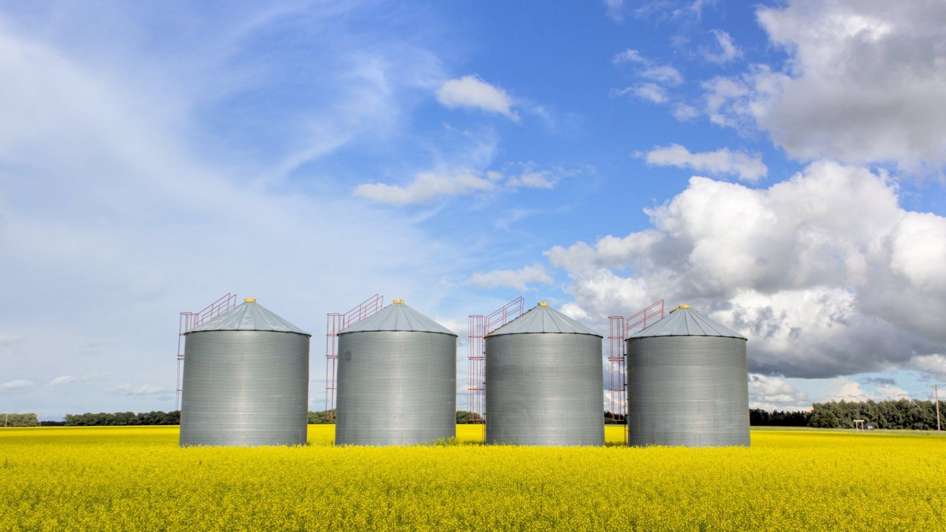 Silo Wallpapers - Top Free Silo Backgrounds - WallpaperAccess