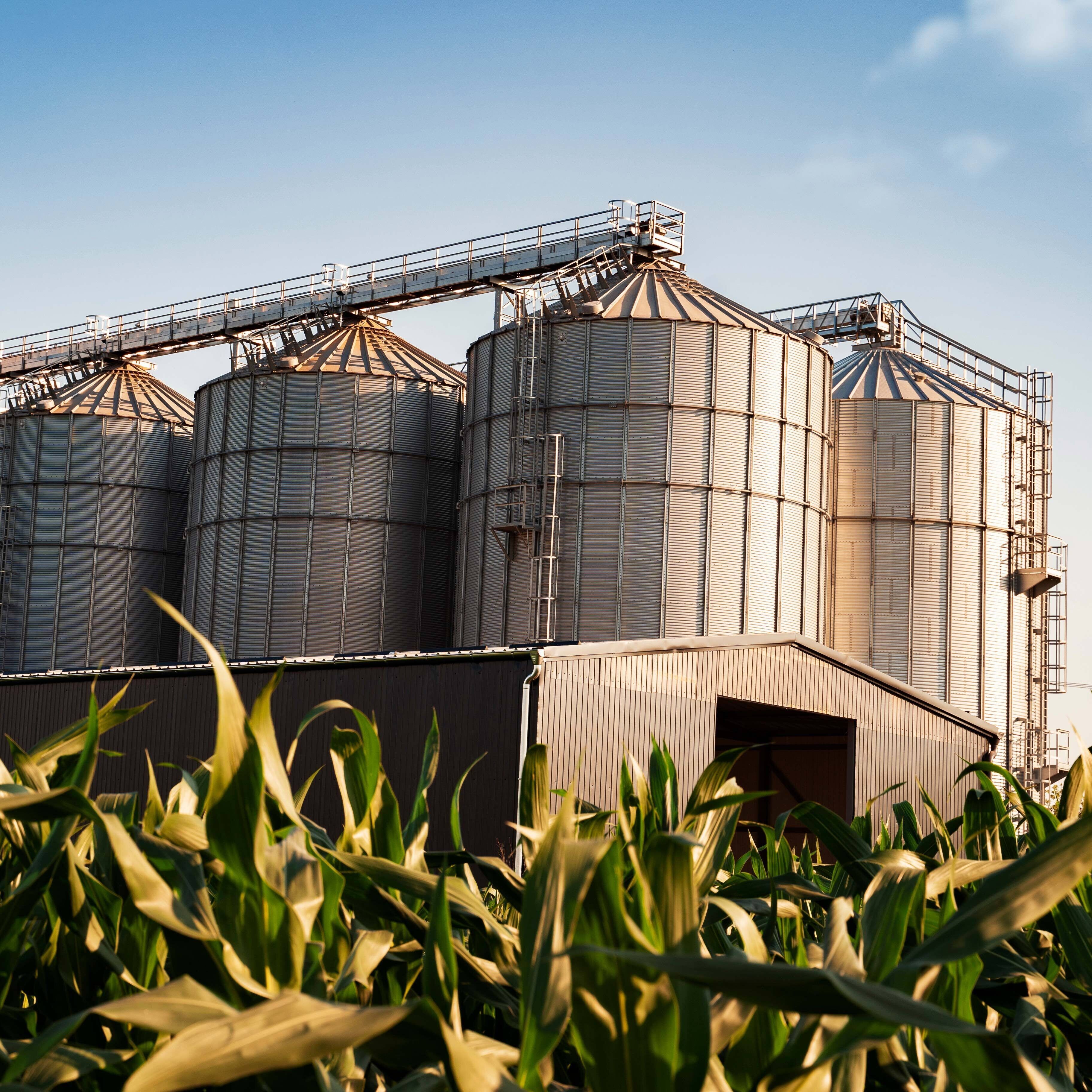 Silo Wallpapers - Top Free Silo Backgrounds - WallpaperAccess