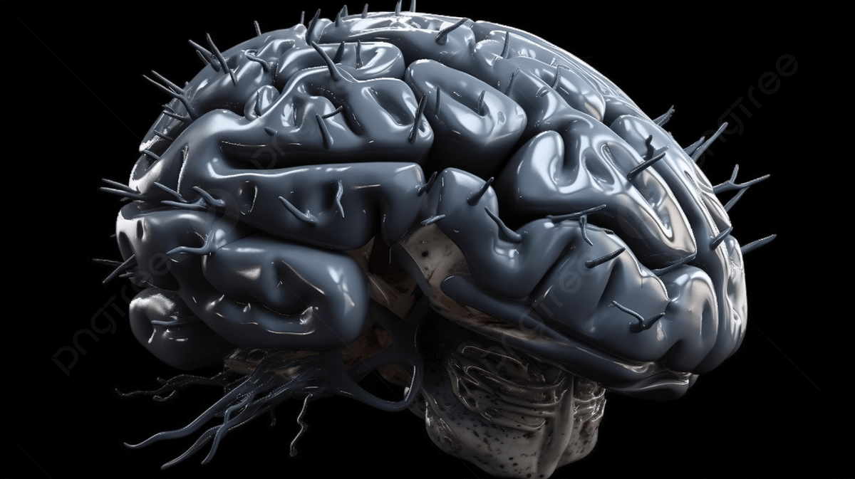 Brain 4k Wallpapers - Top Free Brain 4k Backgrounds - WallpaperAccess