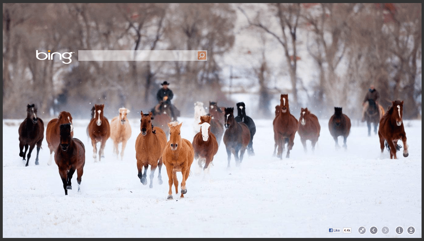 Bing Desktop Slideshow Wallpapers - Top Free Bing Desktop Slideshow ...