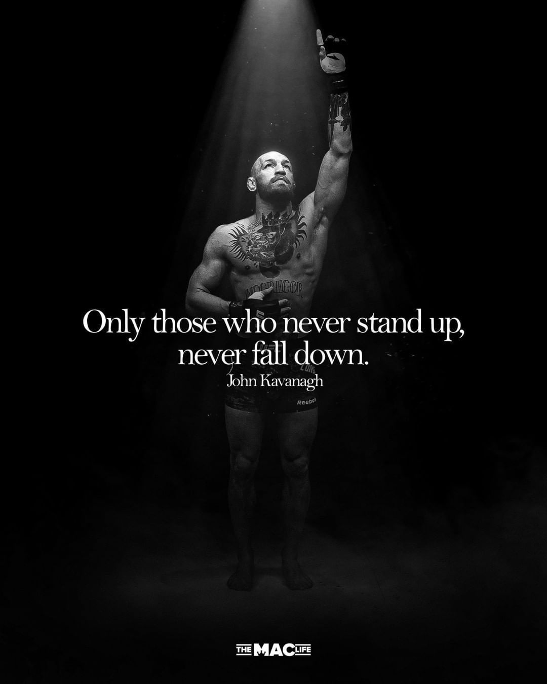 Conor McGregor Quotes Wallpapers - Top Free Conor McGregor Quotes ...