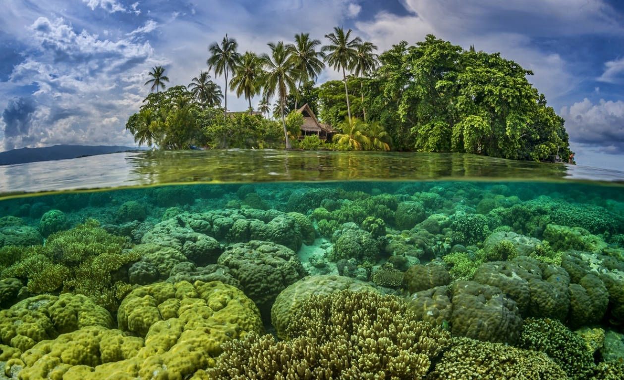 Solomon Islands Wallpapers - Top Free Solomon Islands Backgrounds ...