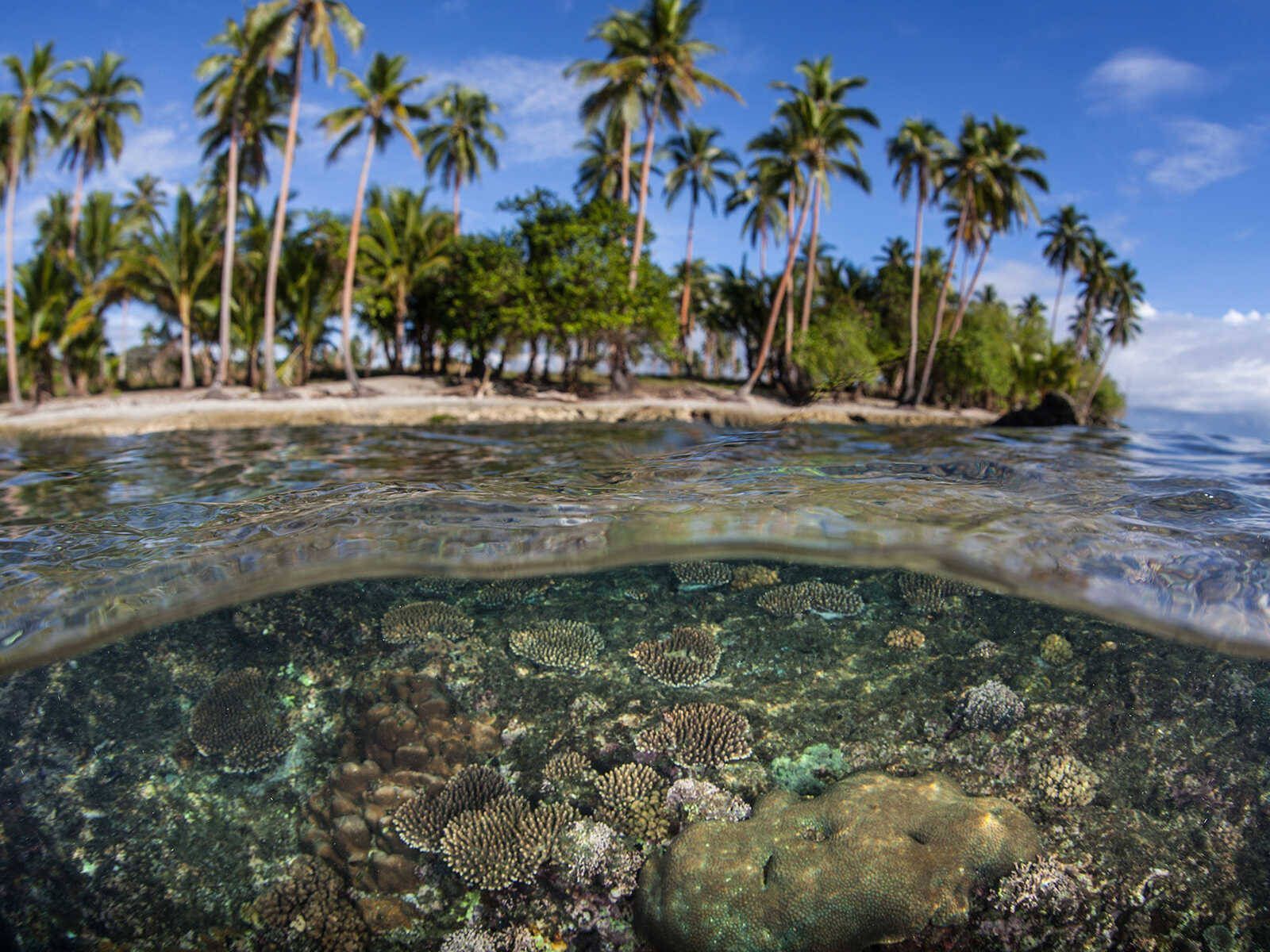 Solomon Islands Wallpapers - Top Free Solomon Islands Backgrounds ...