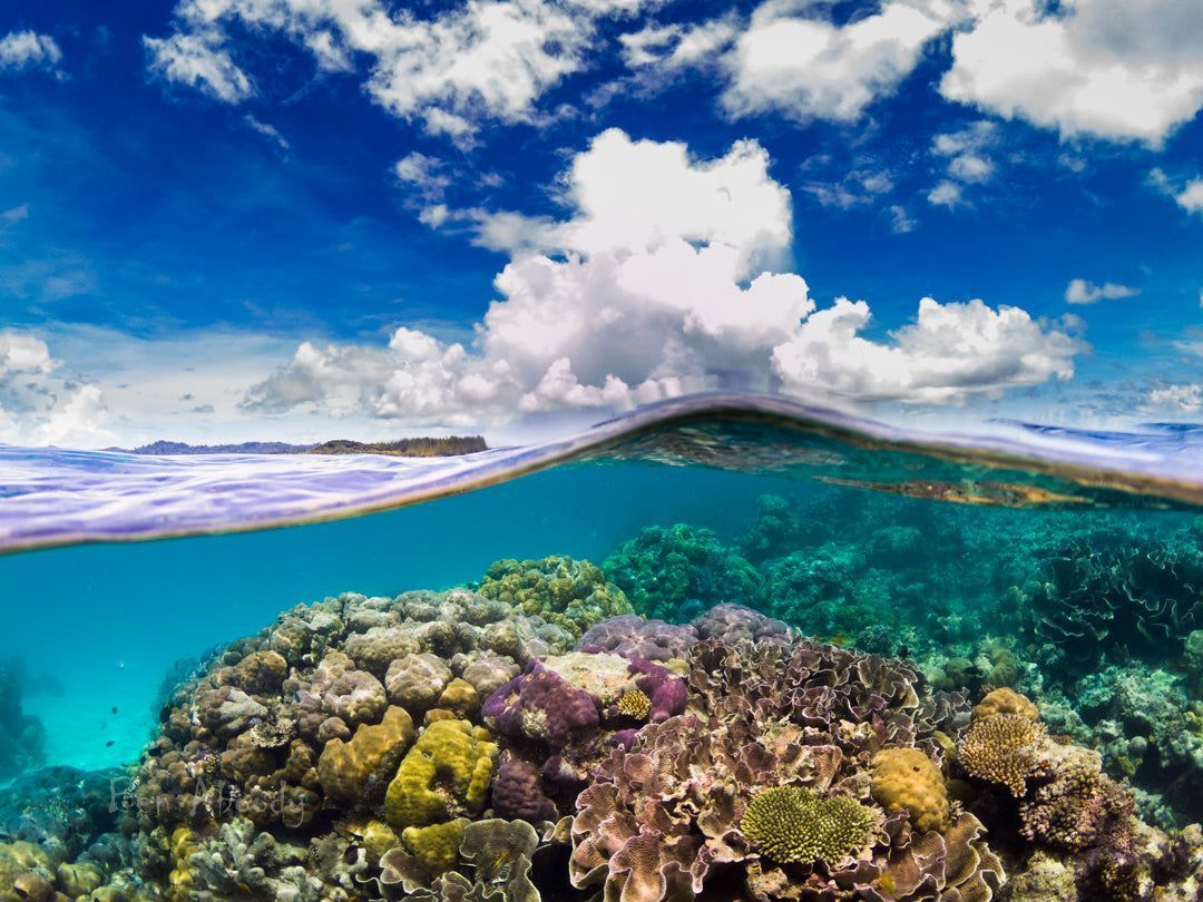 Solomon Islands Wallpapers - Top Free Solomon Islands Backgrounds ...