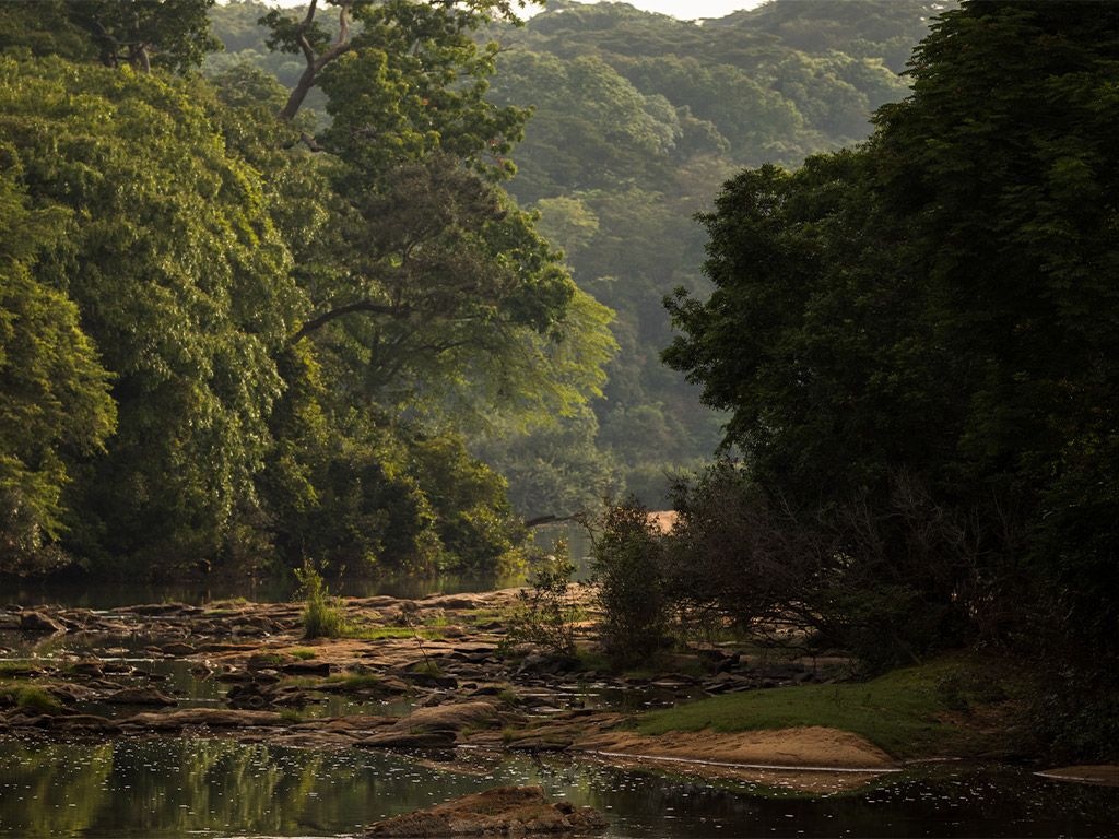 Central African Republic Wallpapers - Top Free Central African Republic ...